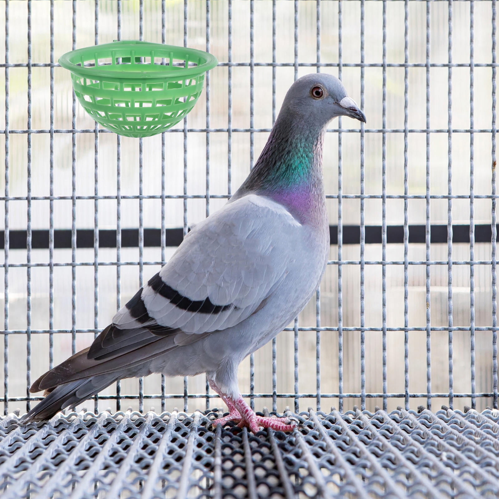 Hemoton 6pcs Pigeon Hatching Nest Plastic Bird Nesting Bowl For ...