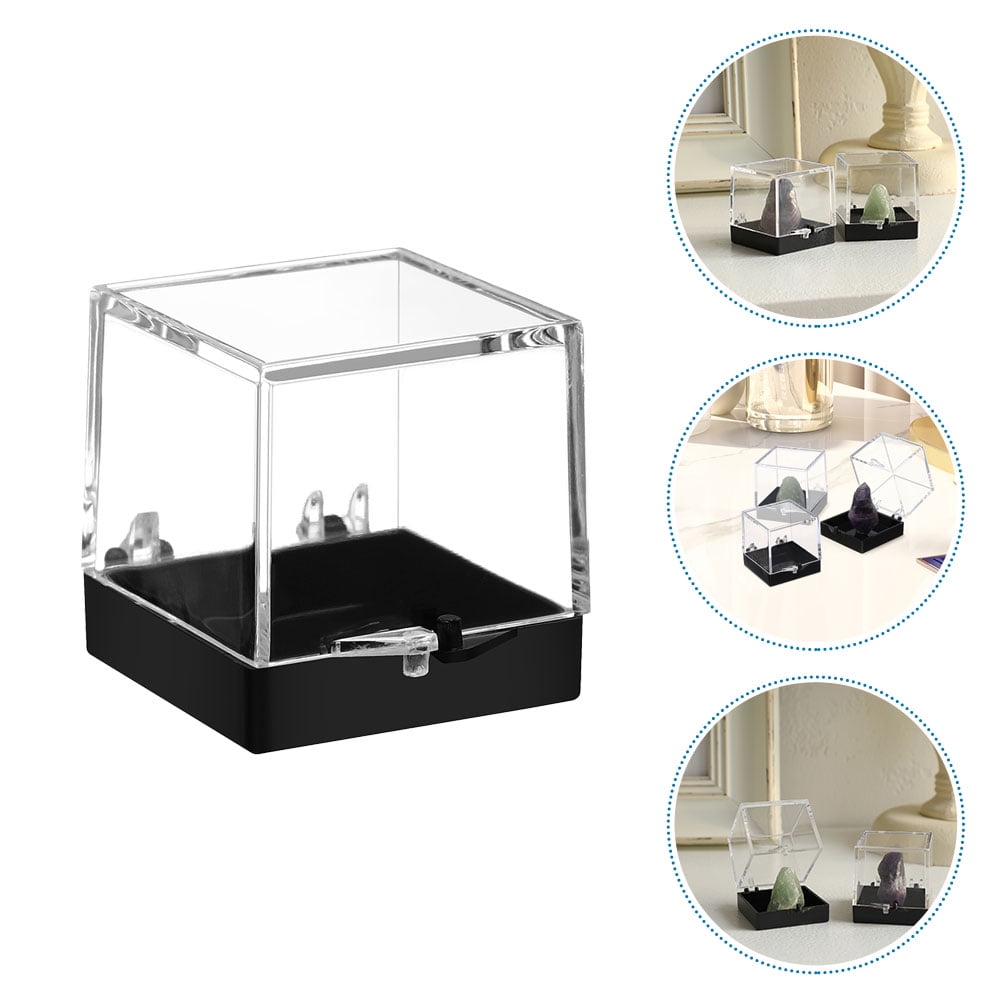 Hemoton 6pcs Specimen Display Case Rock Collection Organizer ...