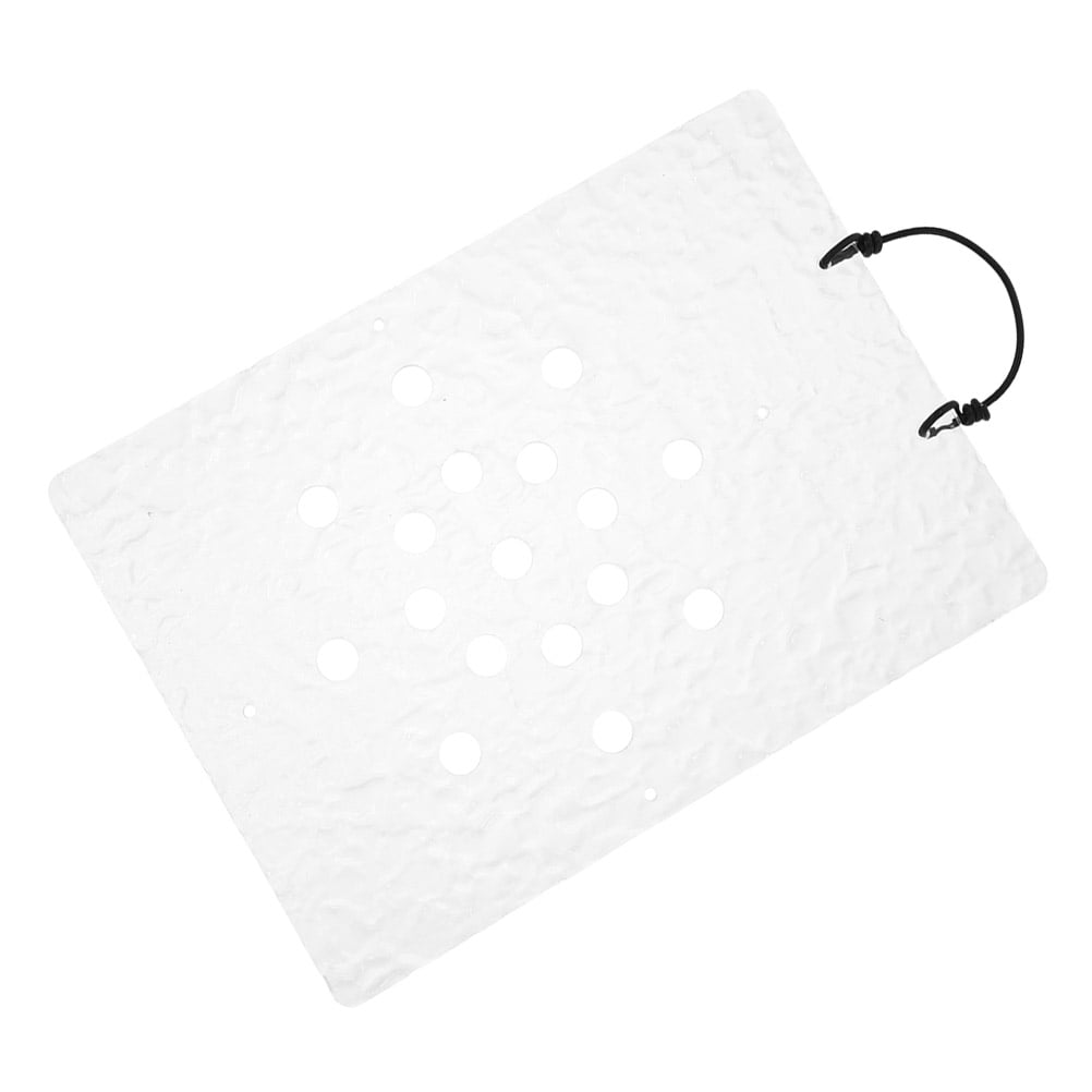 Hemoton Acrylic Staghorn Fern Mounting Board for Home Use Transparent ...