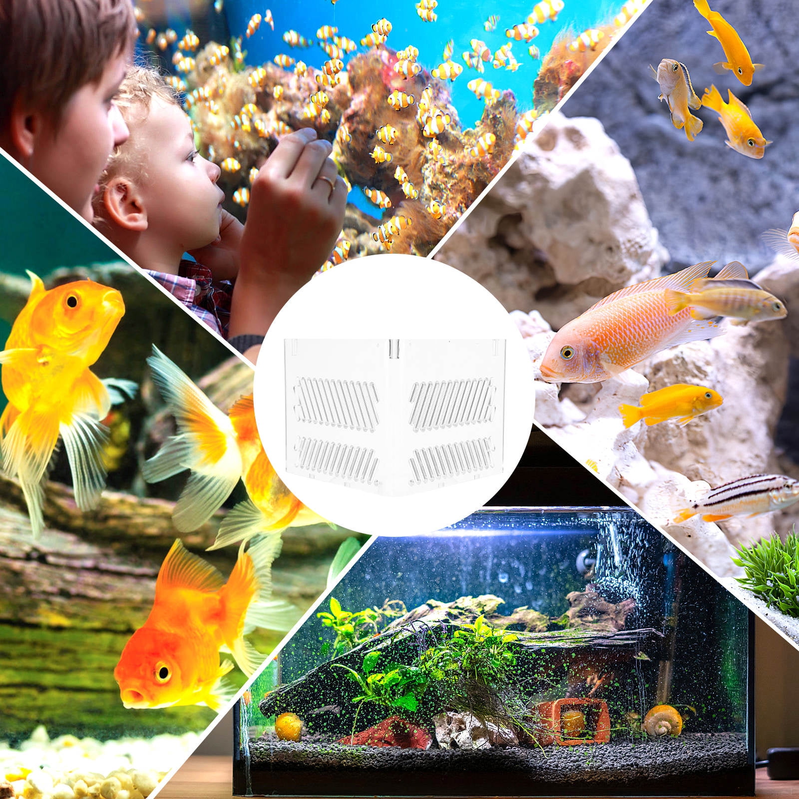 Hemoton Aquarium Partition Plate Fish Tank Acrylic Divider Isolation ...