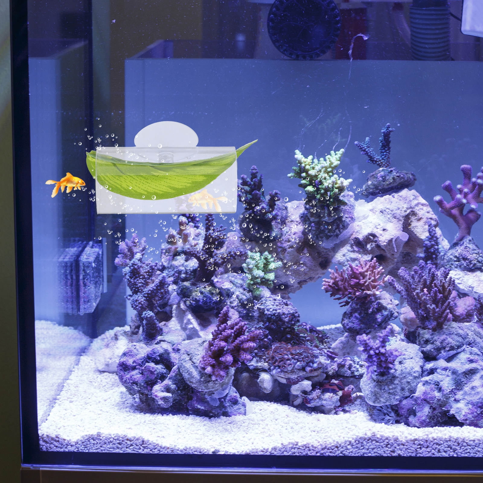 Hemoton Aquarium Tank Tunnel Bed Fish Tunnel For Aquarium Betta Fish ...