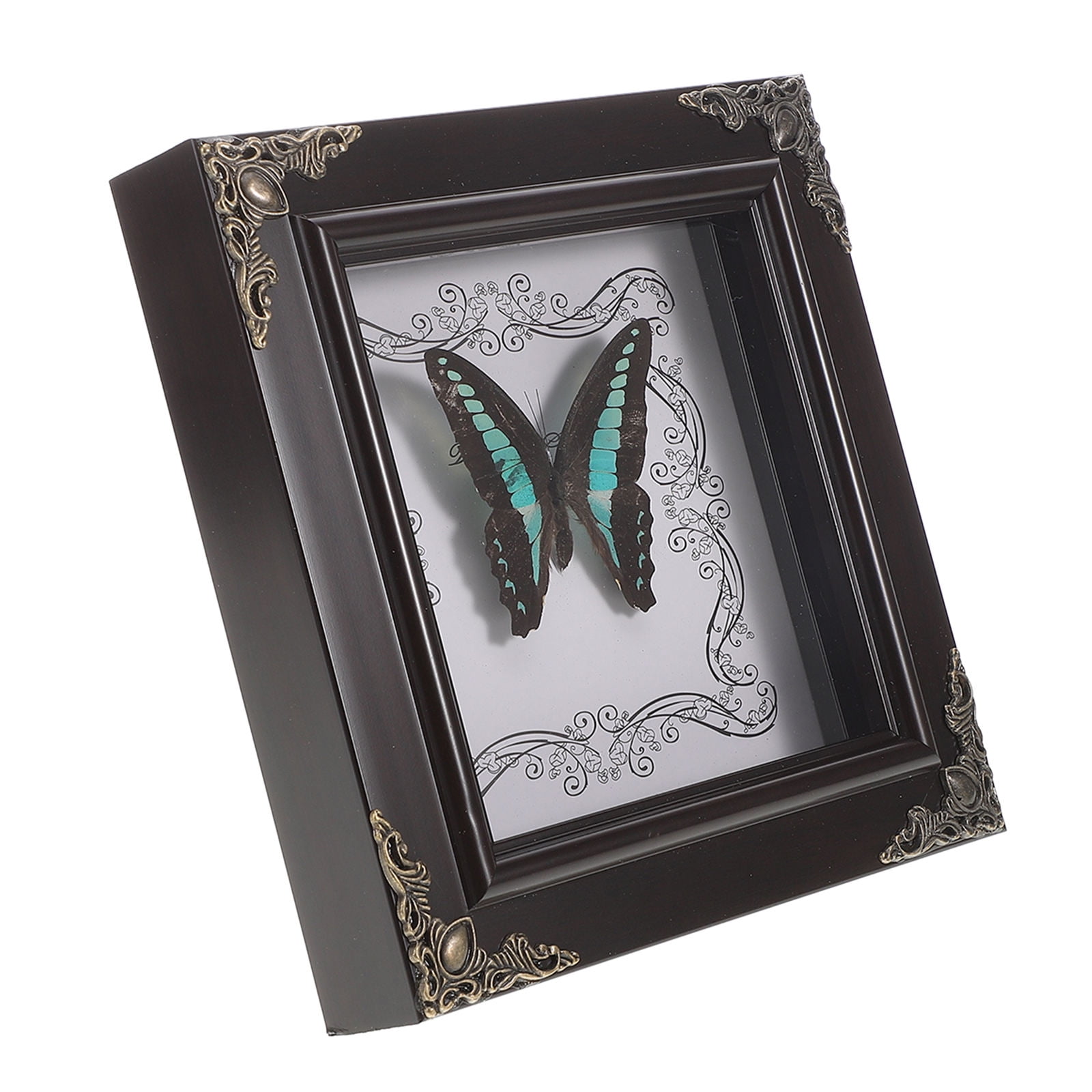 Hemoton Authentic Butterfly Display Frame Real Butterfly Framed Art ...