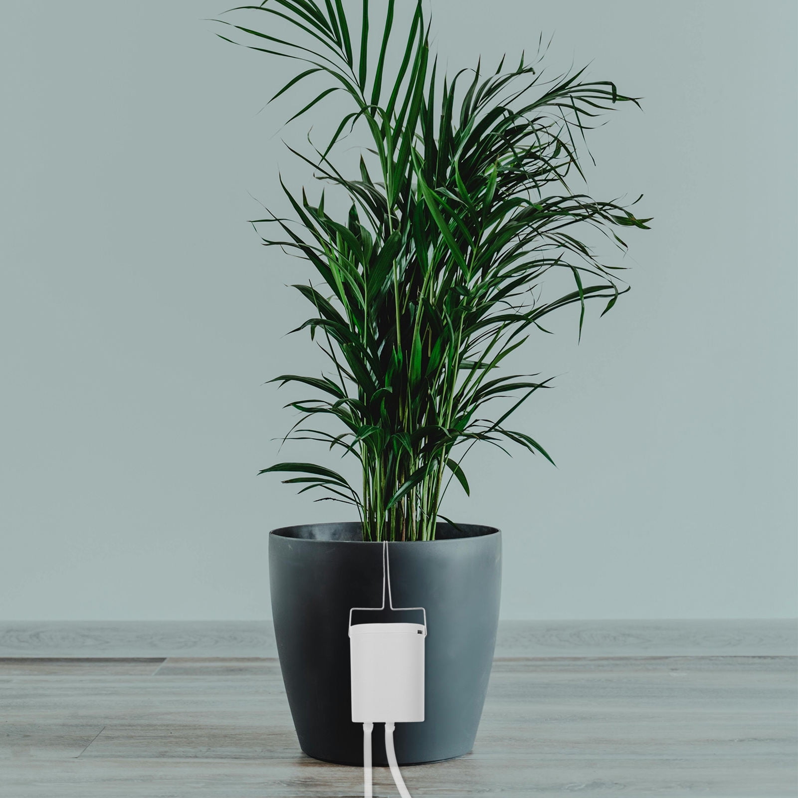 Hemoton Automatic Watering System LCD Screen Drip Irrigation System ...