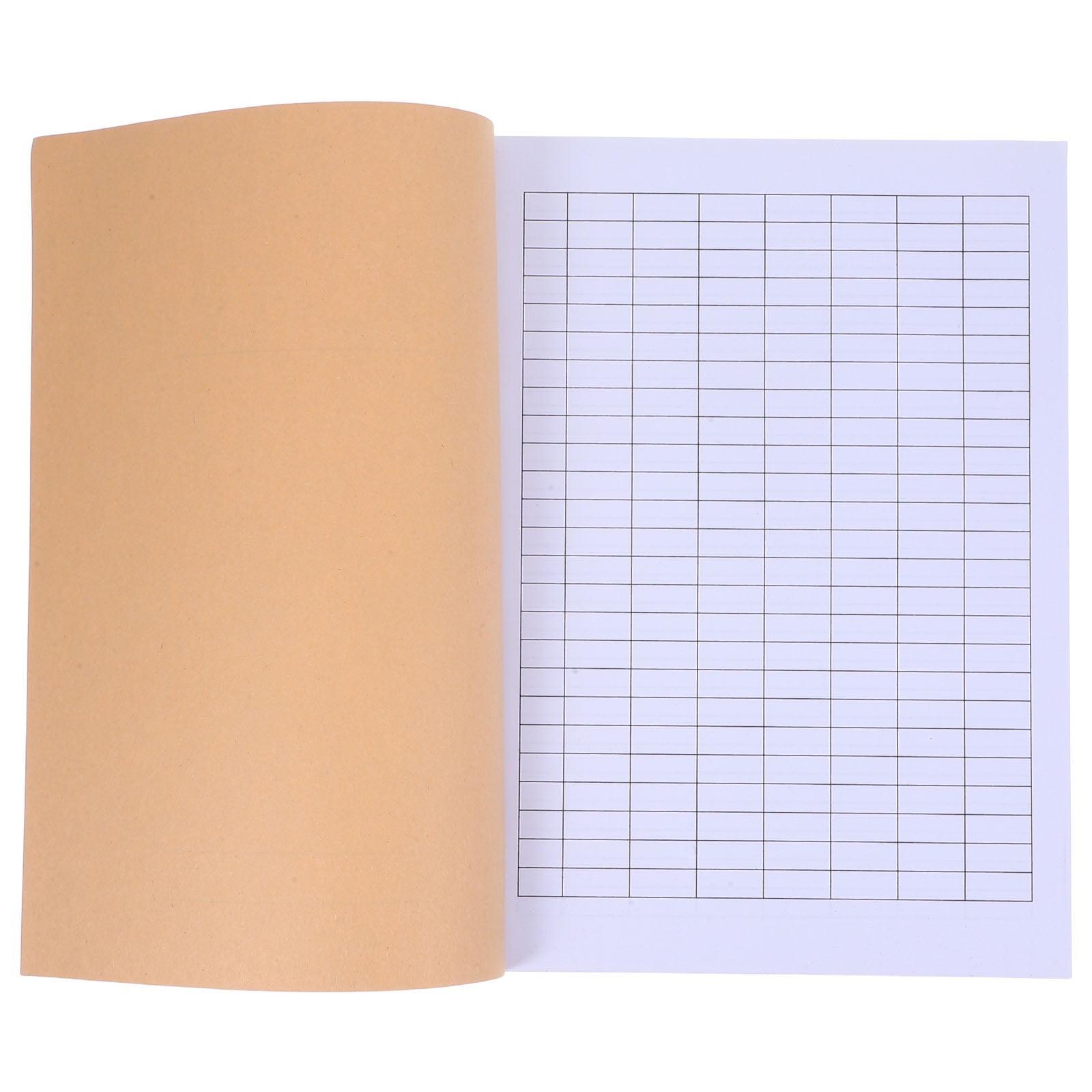 HEMOTON Accounting Ledger Book for Daily Use Personal Finance Log with ...