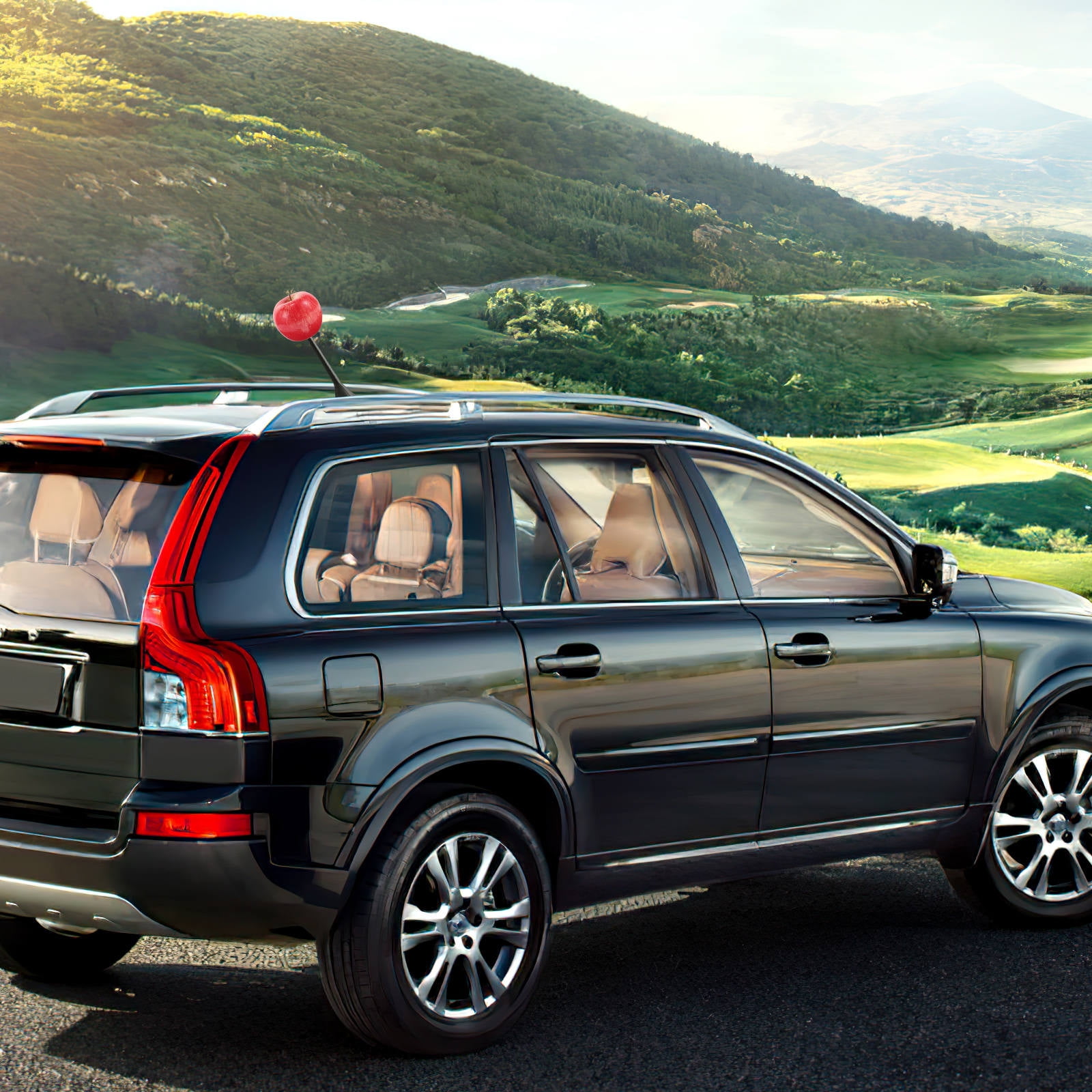 Hemoton Car Antenna Topper Cute Apple Shaped Car Fruit Antenna Ball ...