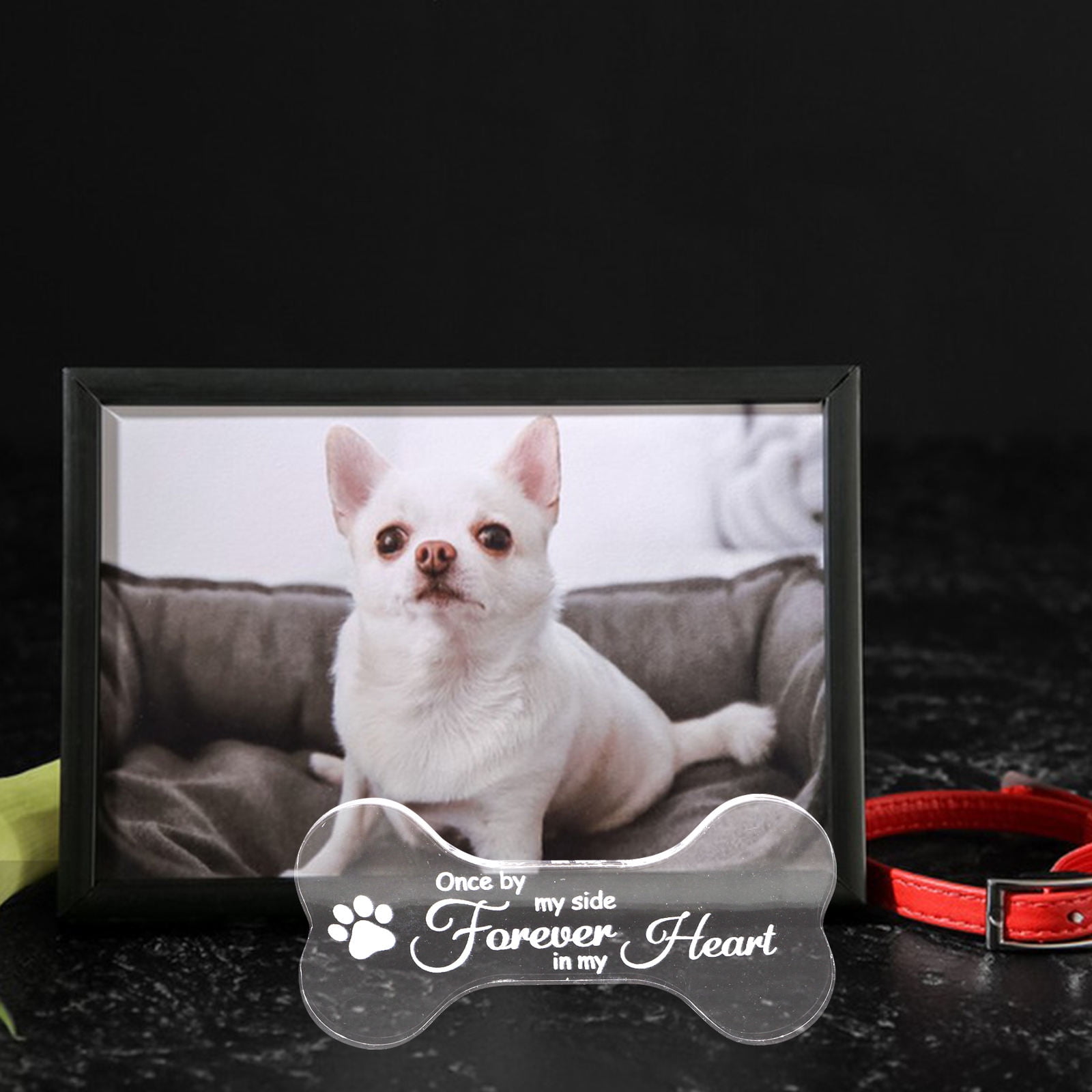 Hemoton Dog Memorial Plaque Acrylic Garden Bone Shape Memorial Plaque ...