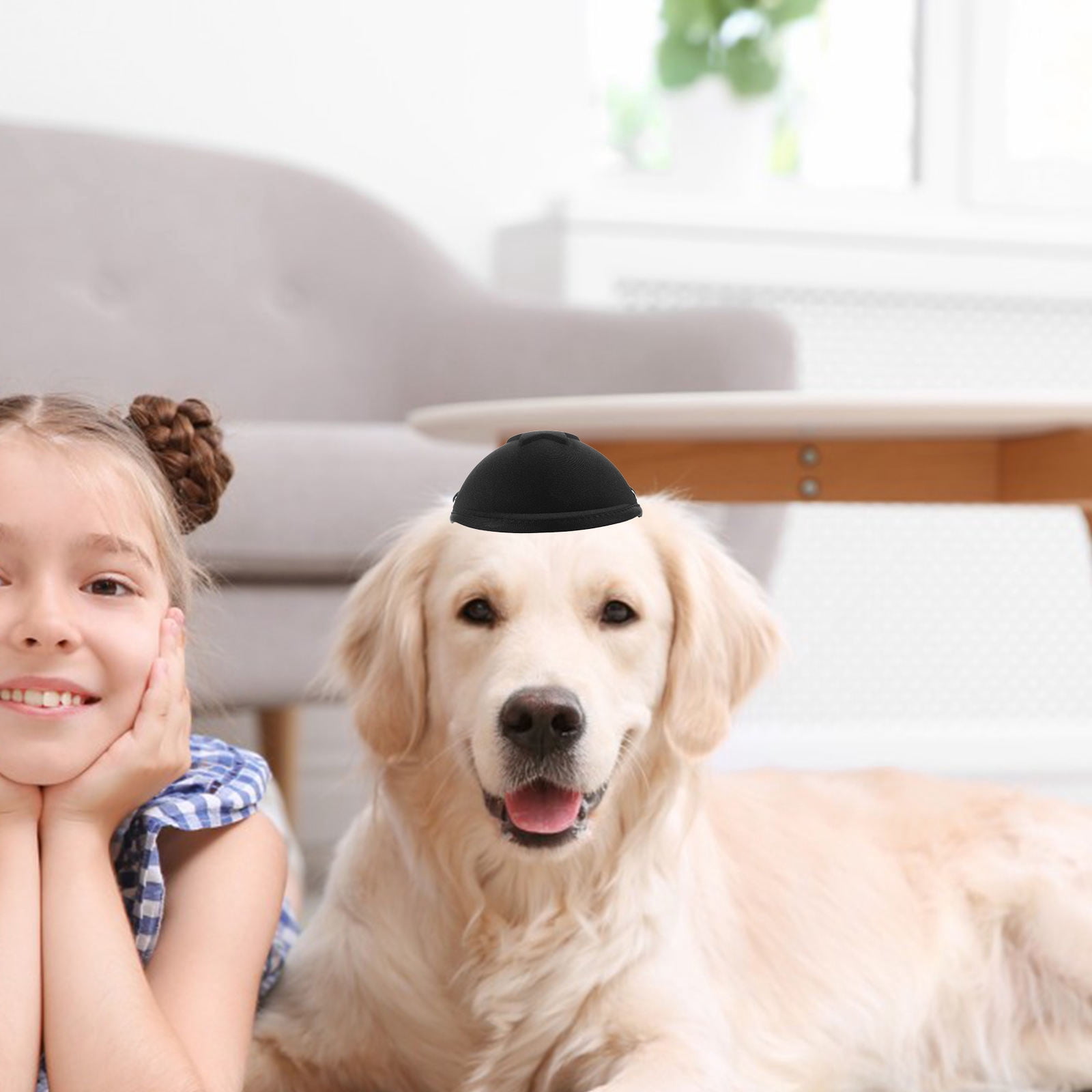 Hemoton Dog Safety Helmet Protective Hat for Puppies Plastic Dog Helmet ...