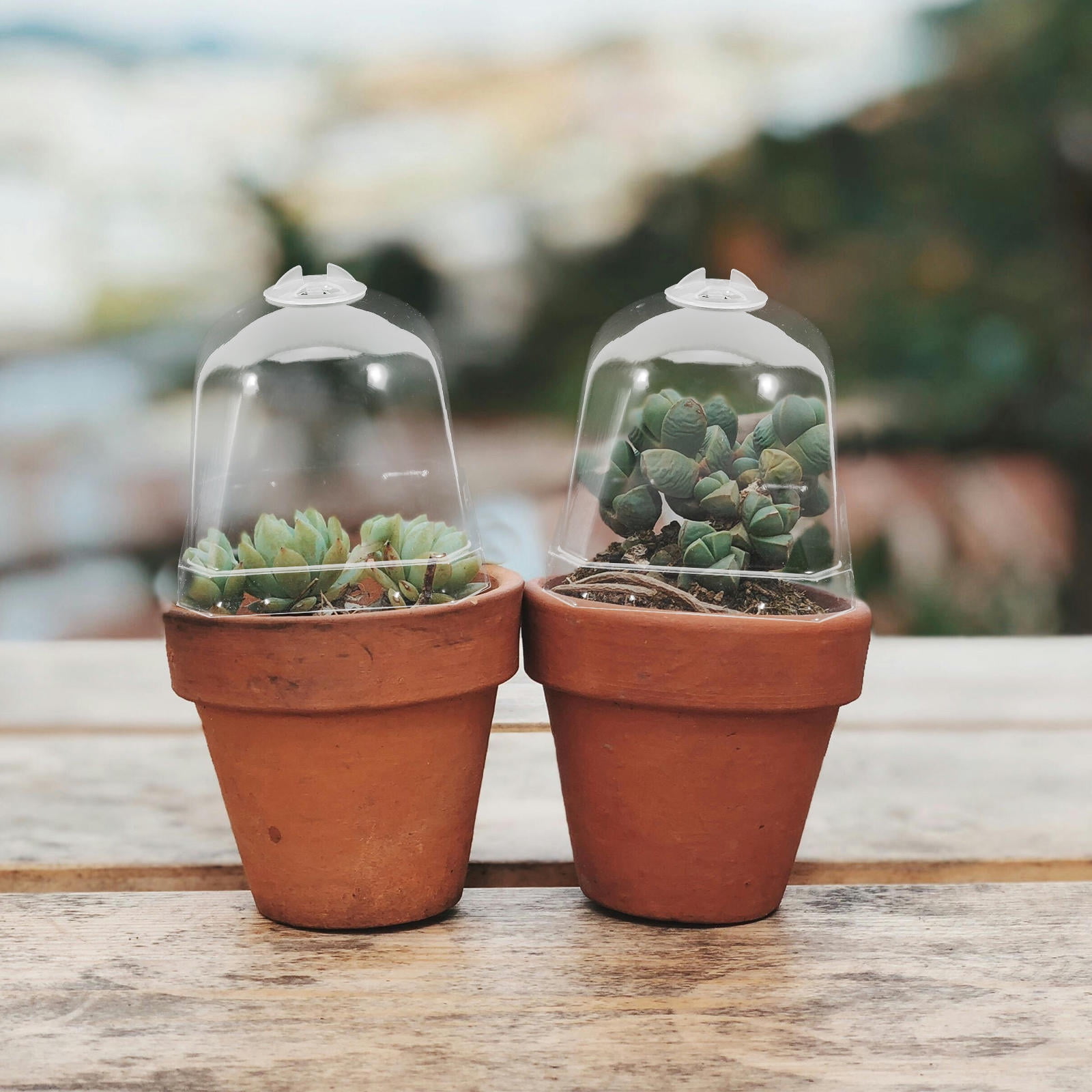 HEMOTON Clear Plastic Dome Covers for Plants Protection in Winter with ...