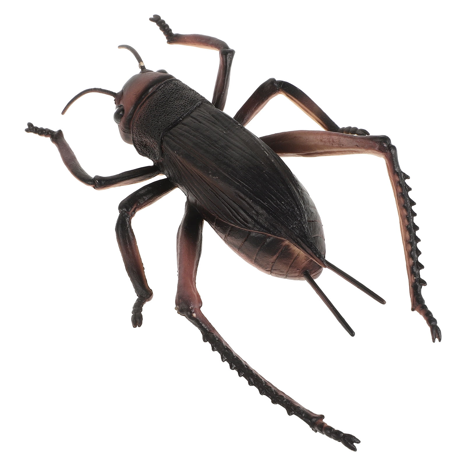 RENACLIPY Simulated Cricket Dark Brown PVC Ornament for Party Tabletop ...