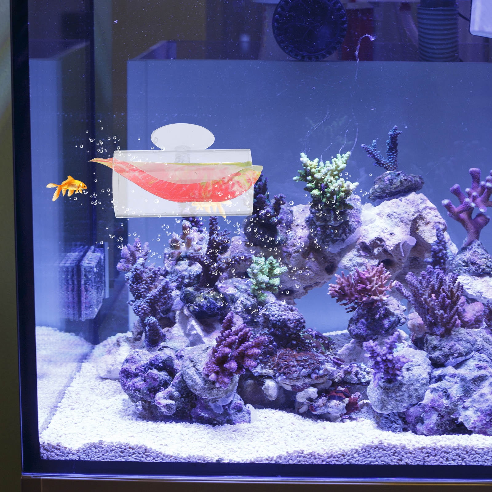 Hemoton Fish Tank Accessory Fish Tank Decoration Aquarium Acrylic Bed ...