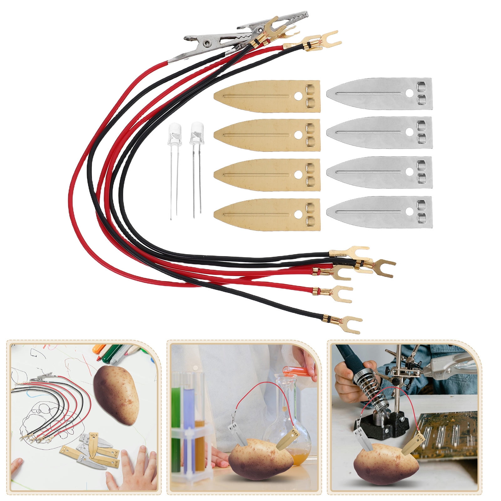 Hemoton Fruit Battery Science Kit for Kids Hands-On Learning with LED ...