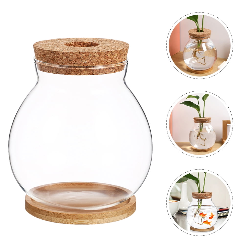 Hemoton Glass Hydroponic Planters Desktop Propagation Station ...