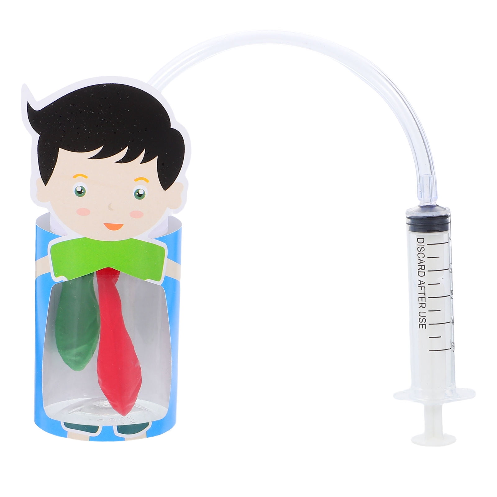 Hemoton Human Lung Anatomical Display Diaphragm Movement Simulator Lung ...