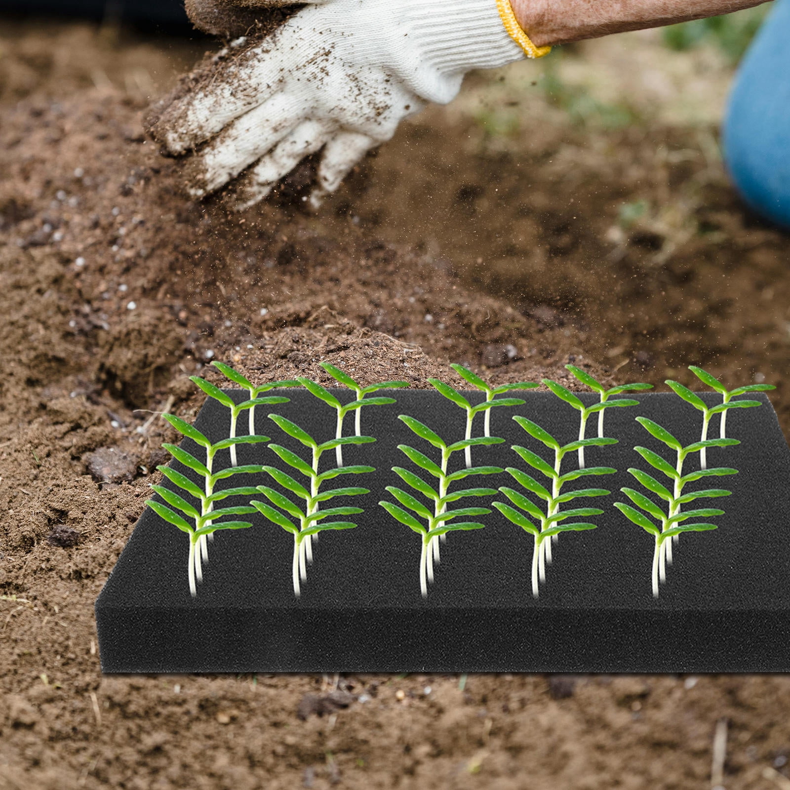 Hemoton Hydroponic Sponge Planting Gardening Tool for Soilless ...