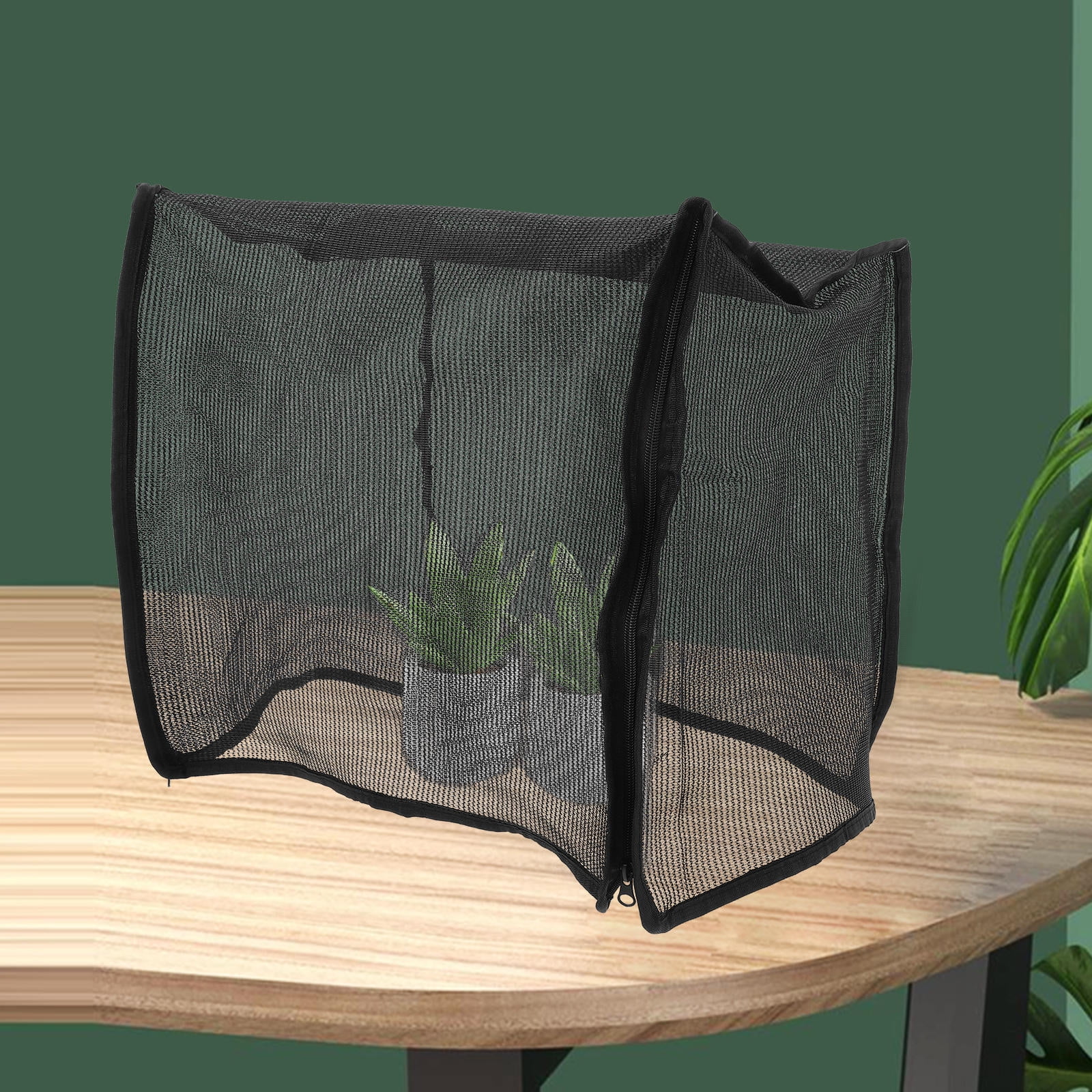 Hemoton Indoor Mini Desktop Greenhouse for Succulents 1 Set Plant ...