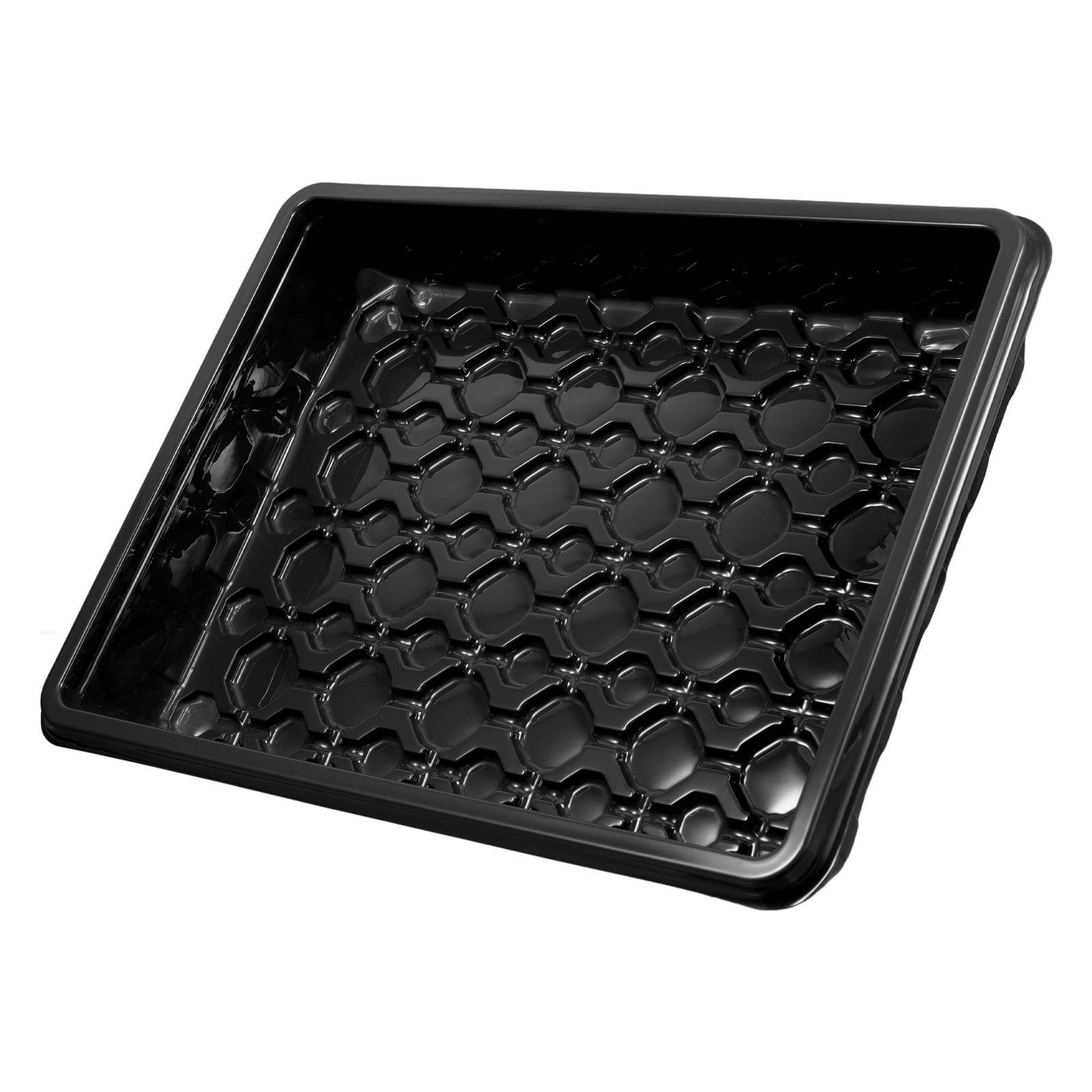 Hemoton Indoor Plant Tray 1 Set Seed Sprouting Germination Tray Nursery ...