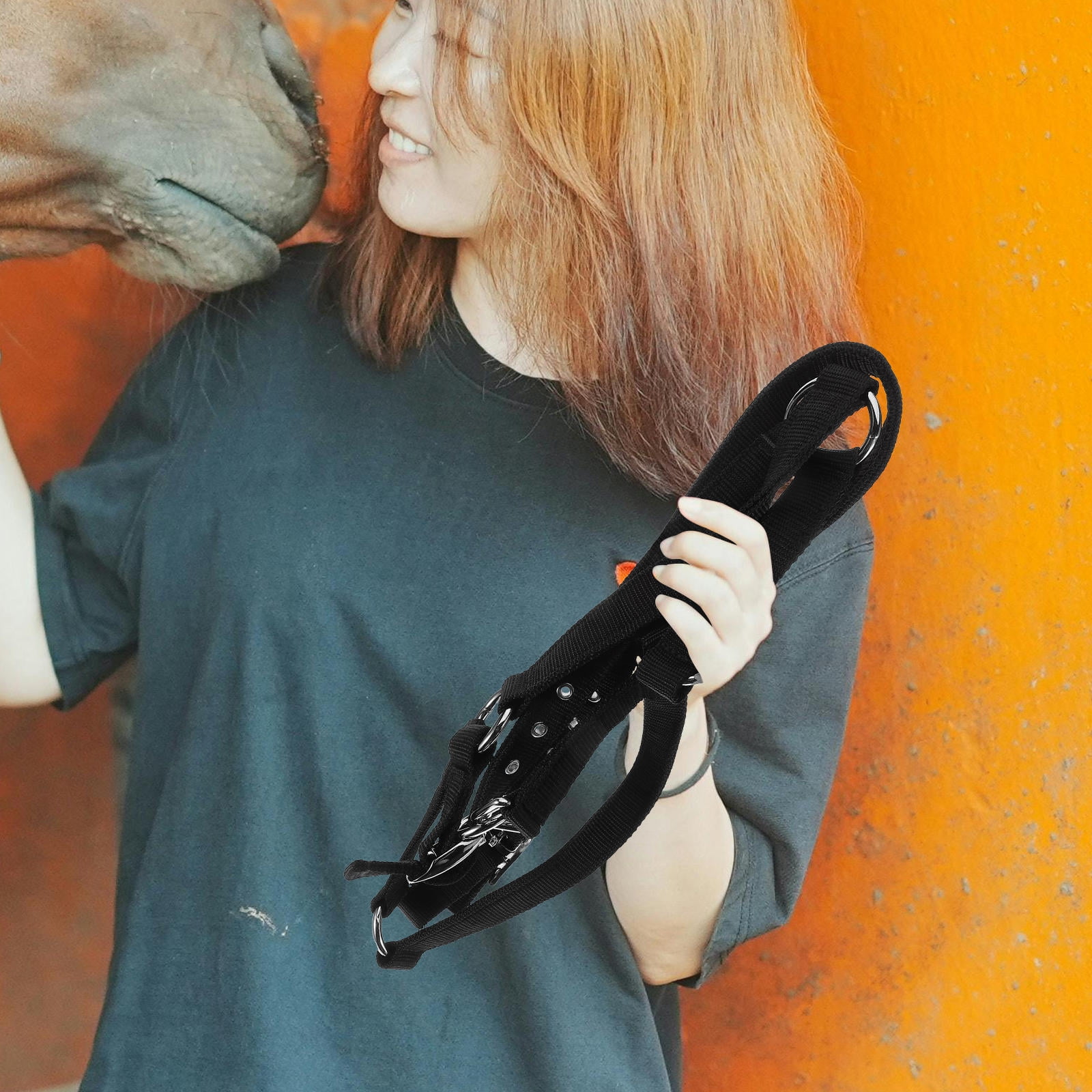 Hemoton Kids Equestrian Training Horse Halter And Rope Set Adjustable ...