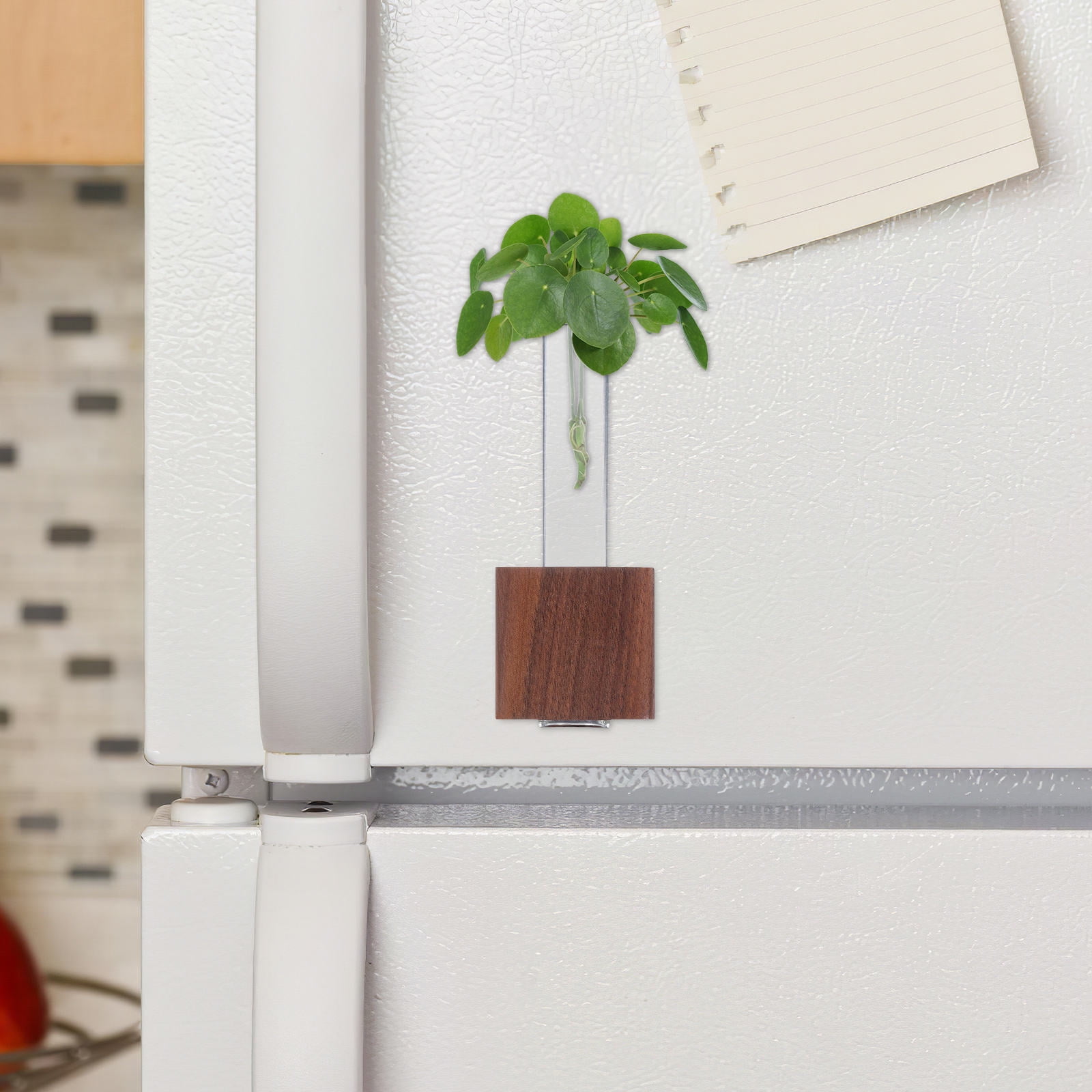 Hemoton Wooden Magnetic Test Tube Flower Vase for Decor with Glass and ...