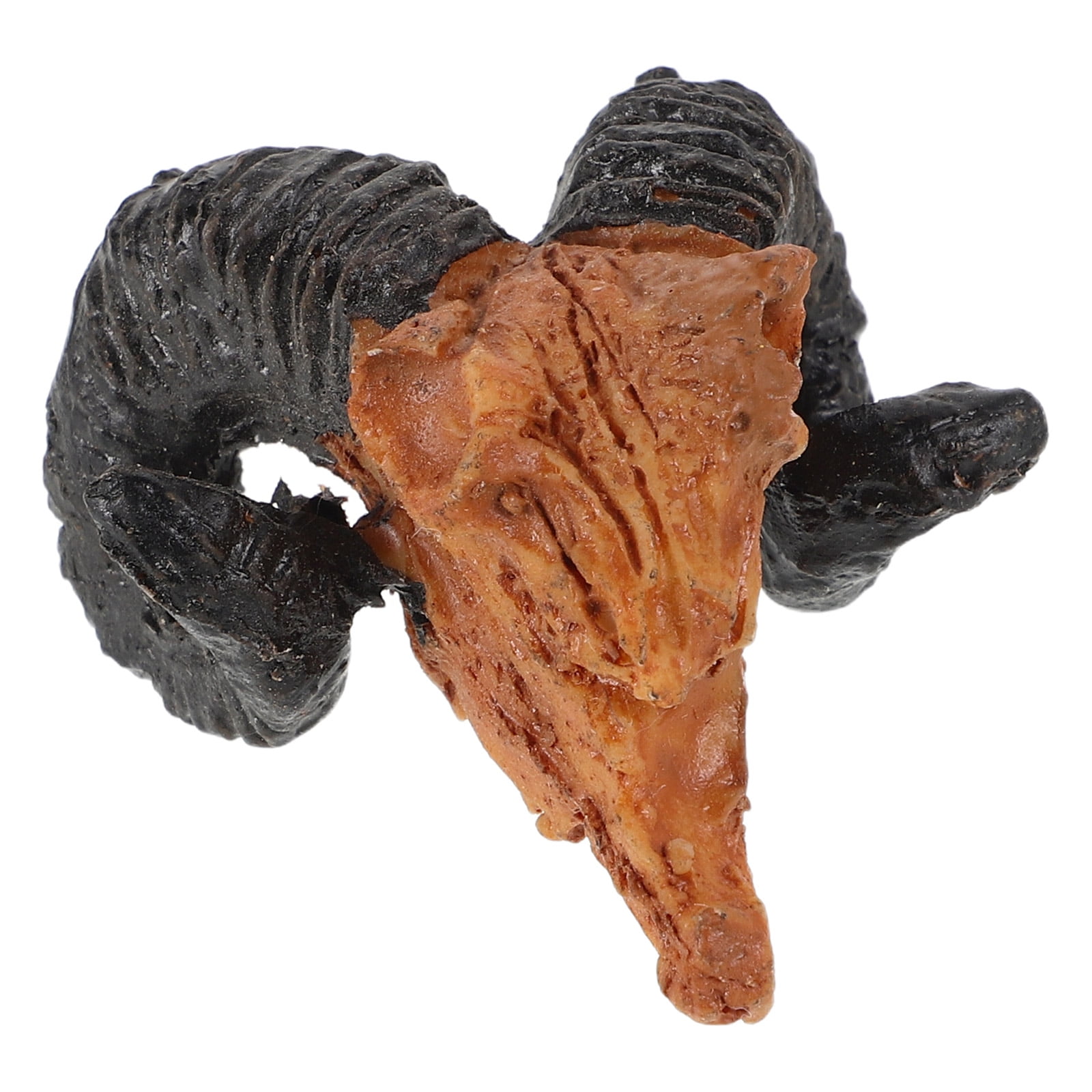Hemoton Mini Goat Skull Wall Decor Micro Landscape Resin Animal Head ...