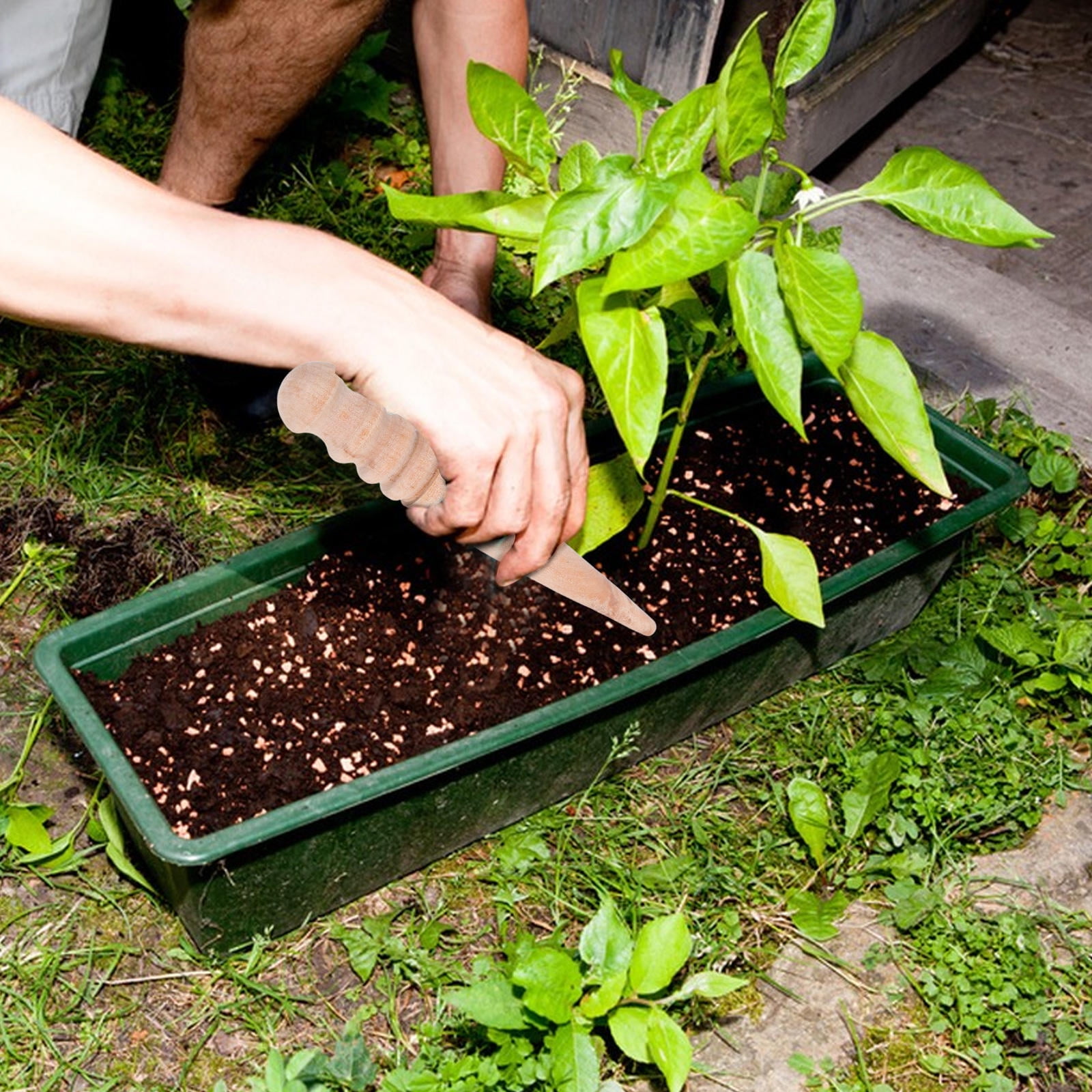 Hemoton Mini Wooden Garden Seeder Tool For Seedling Transplanting And ...