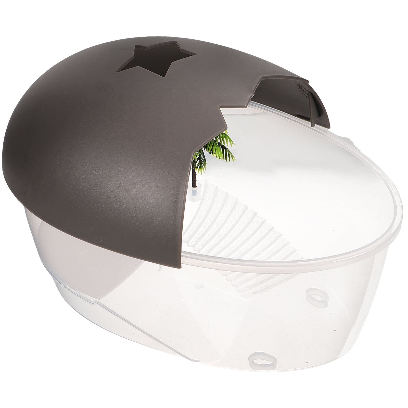 Hemoton Multi-function Turtle Aquarium Snake Tank Terrarium Platform ...