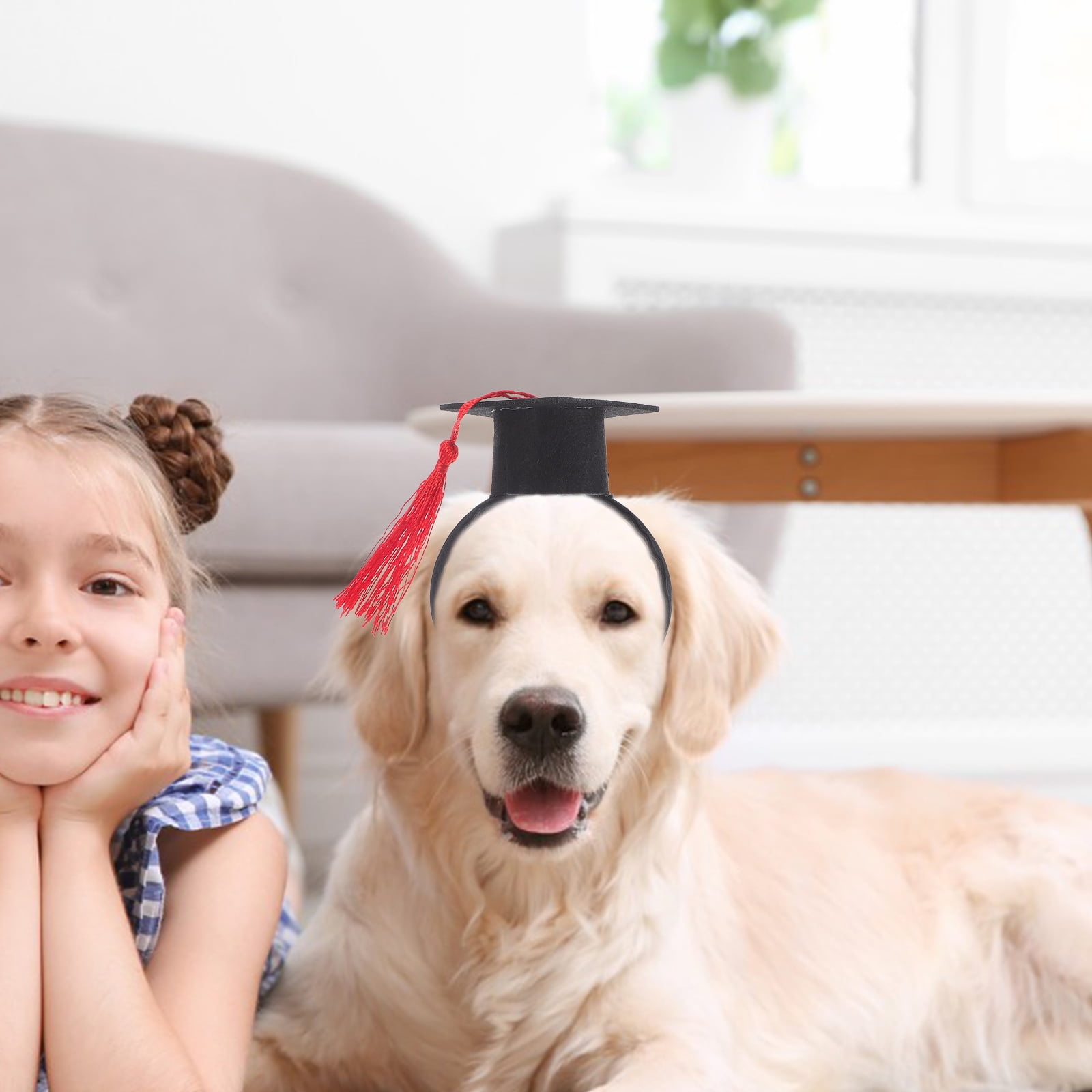 Hemoton Pet Graduation Cap Headband Dog And Cats Graduation Hats With ...