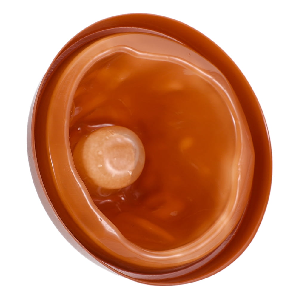 Hemoton Plastic Volcano Model Volcano Science Kit Volcanic Eruption ...