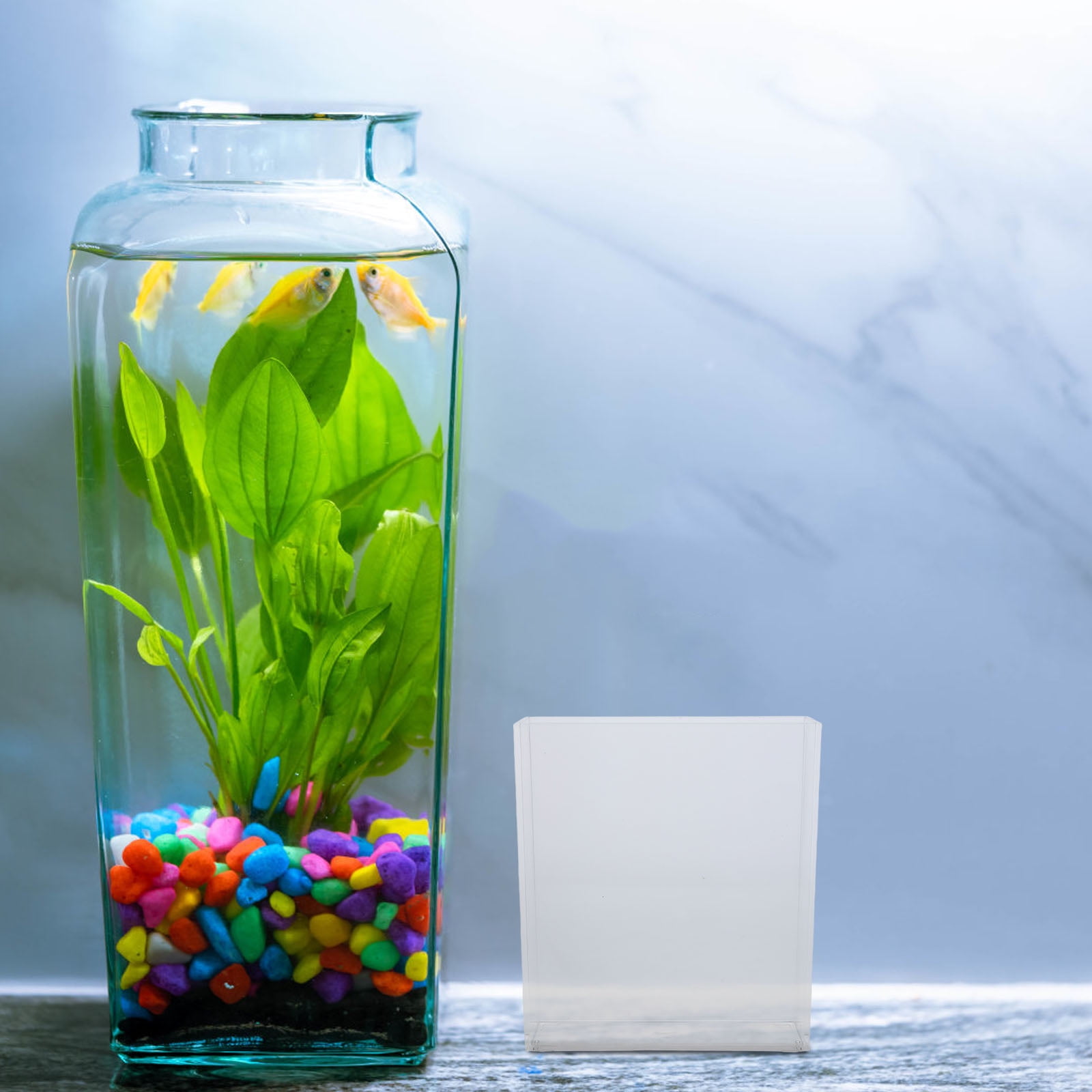 Hemoton Portable Transparent Fish Observation Box Small and Lightweight ...