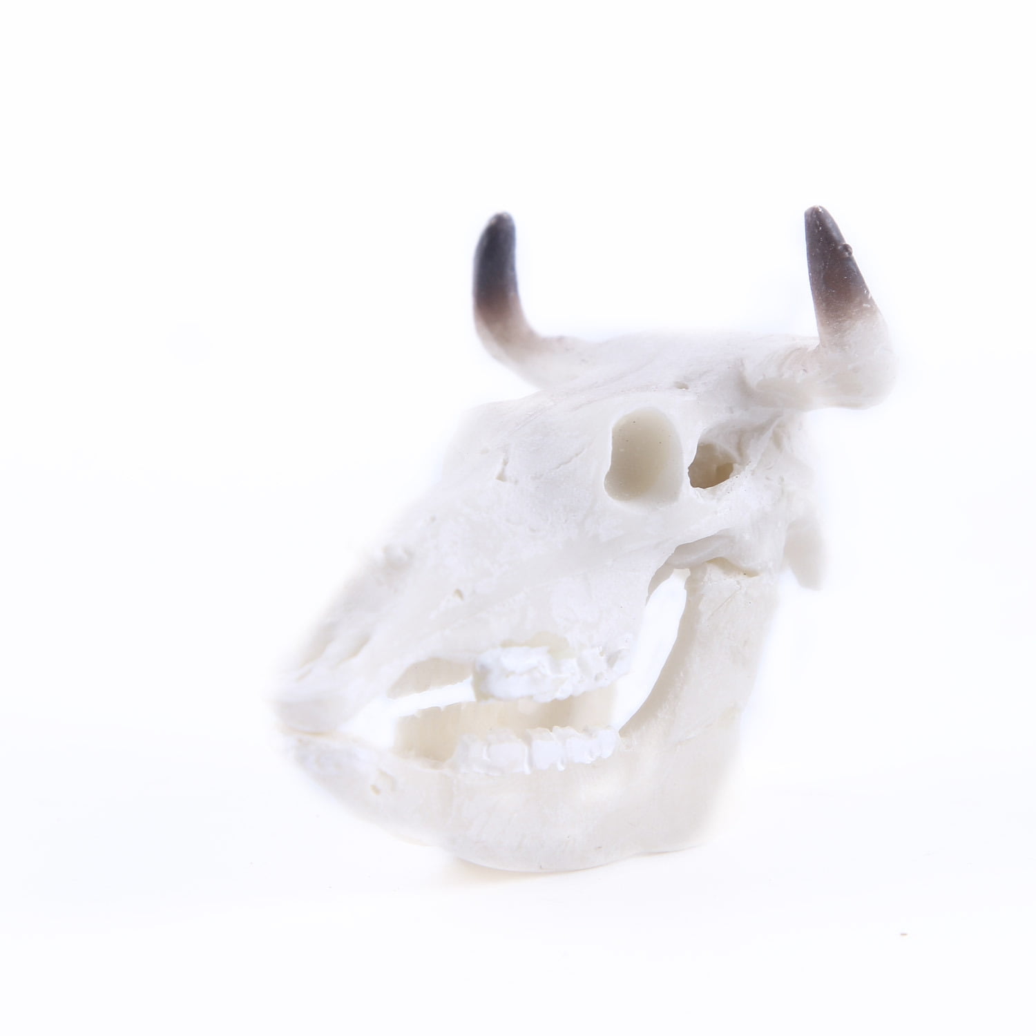 Hemoton Resin Buffalo Skull Aquarium Decor Unique Fish Tank Ornament ...