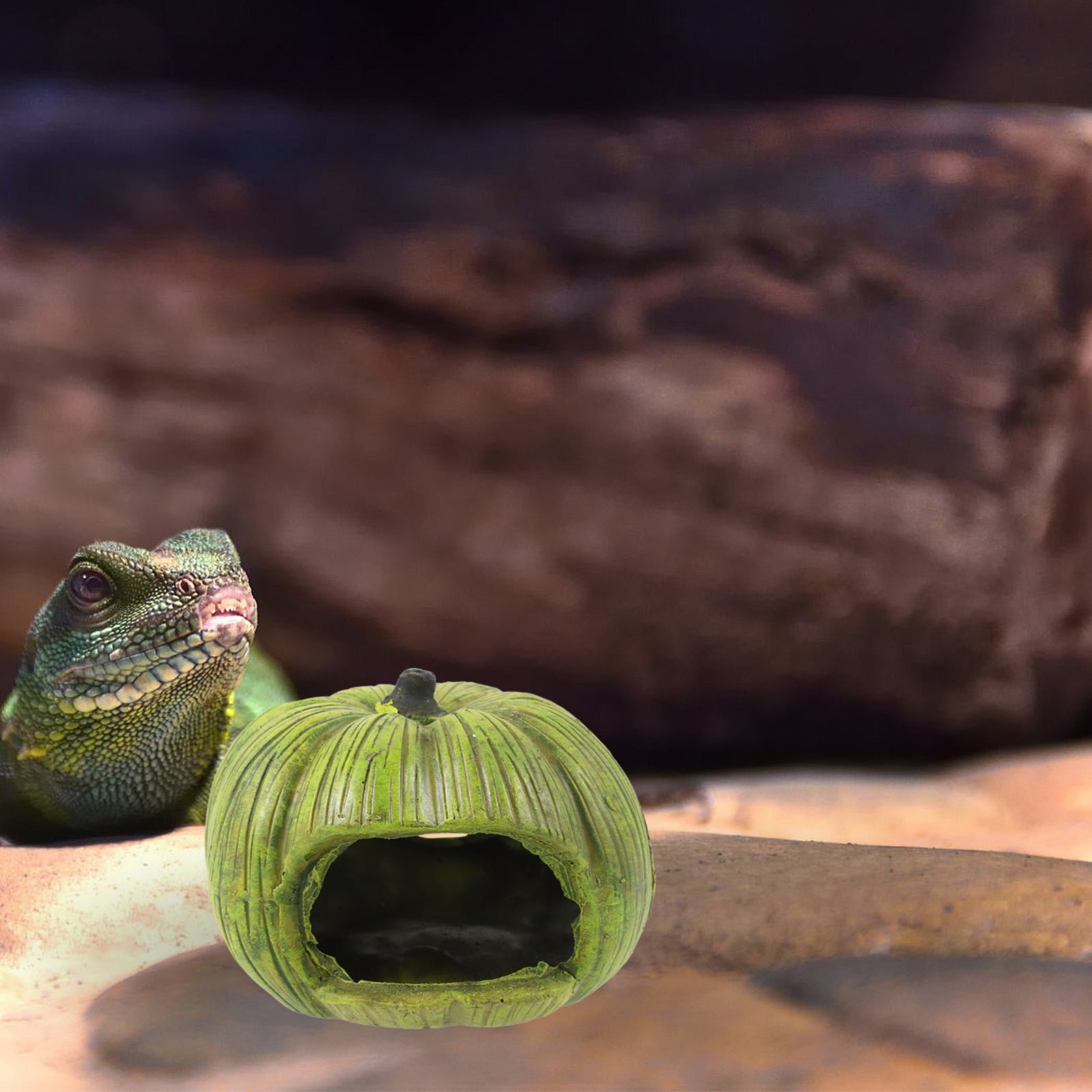 Hemoton Resin Pumpkin Shape Lizard Hideouts Reptile Hideaway Aquarium ...