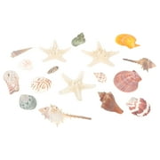 Scallop Shells Crafts