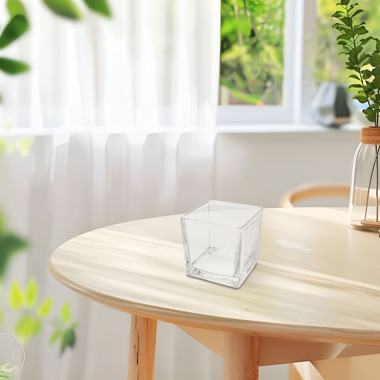 Hemoton Square Glass Planter Clear Modern Transparent Cube Vase for ...