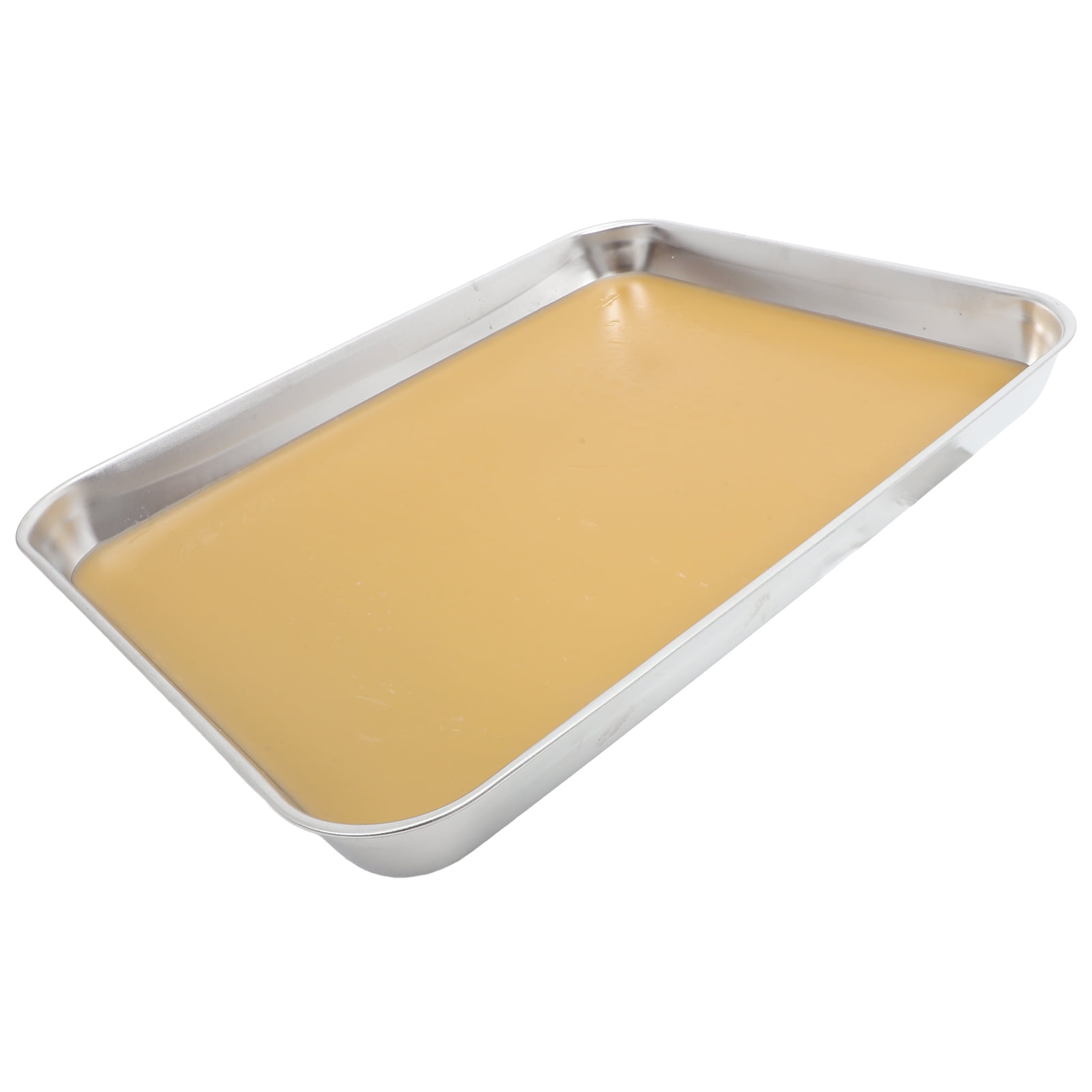Hemoton Stainless Steel Dissection Tray with Wax for Biology Labs Metal ...