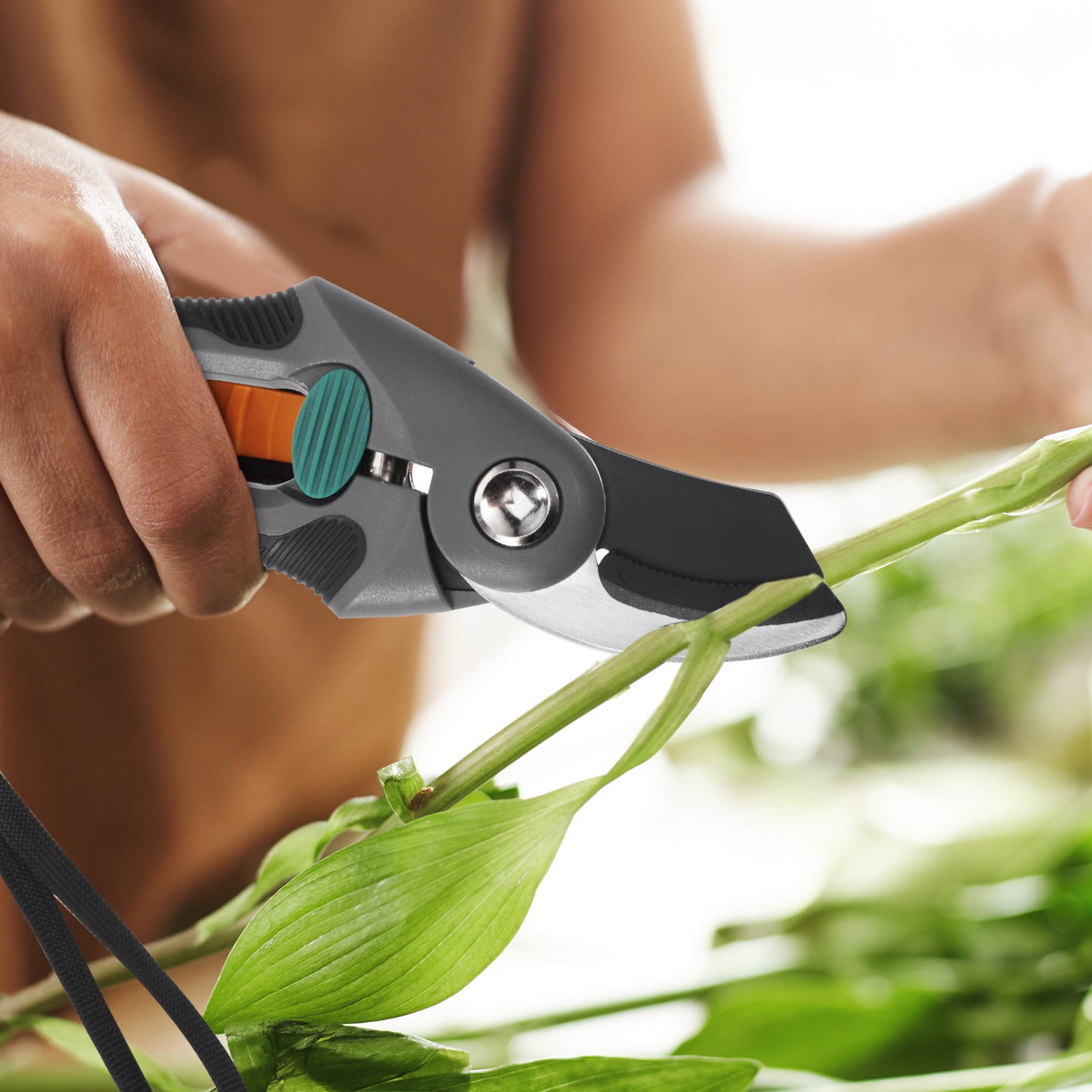 Hemoton Tree Pruning Shears Manual Bypass Pruner Spring-Loaded Branch Pruner Garden Shears Tree ...