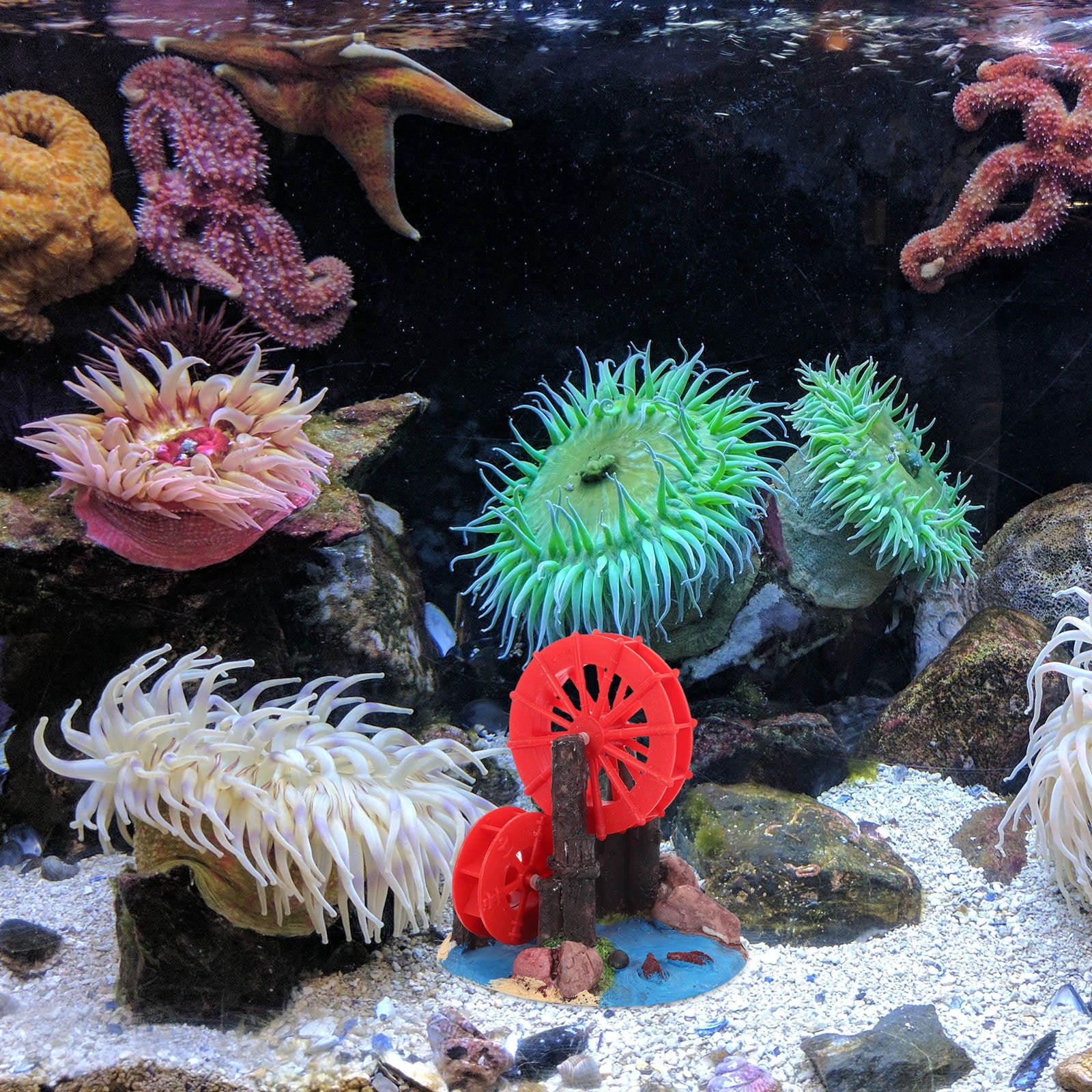 Hemoton Water Wheel Fountain for Fish Tank Artificial Rockery Wheel for ...