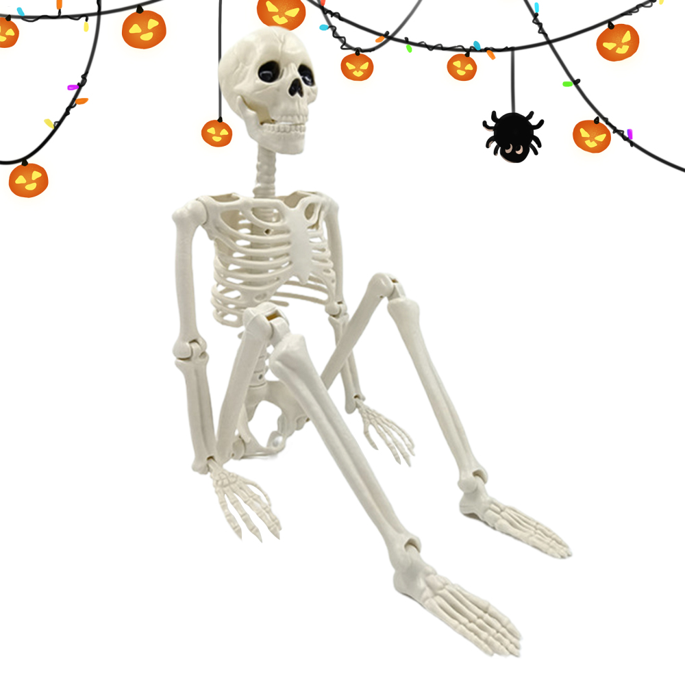 Hemousy Halloween Skeleton Full Body Halloween Skeleton Decor with ...