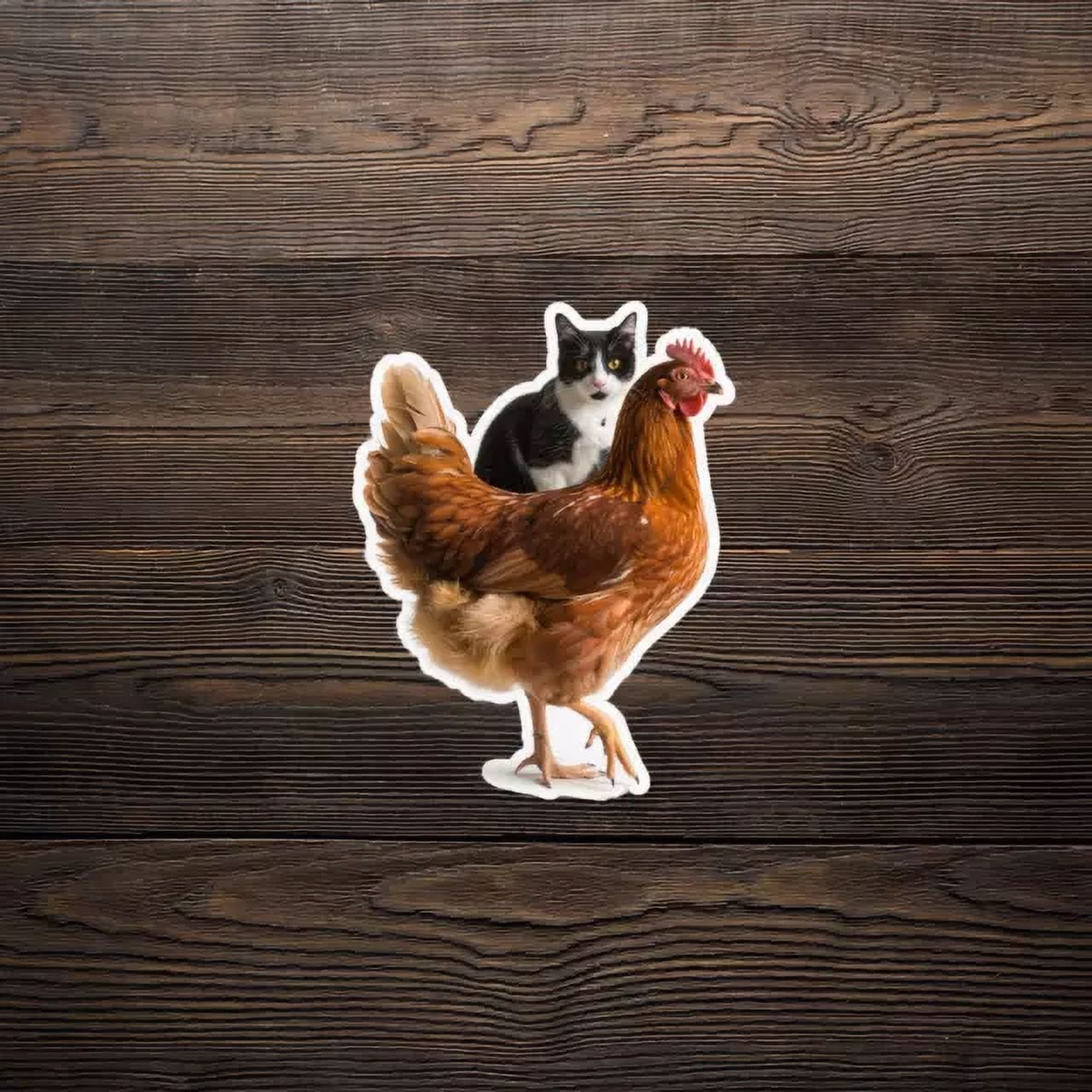 Hen Chicken Cat Sticker - Cute Animal For Laptops, Phones & Morephone ...