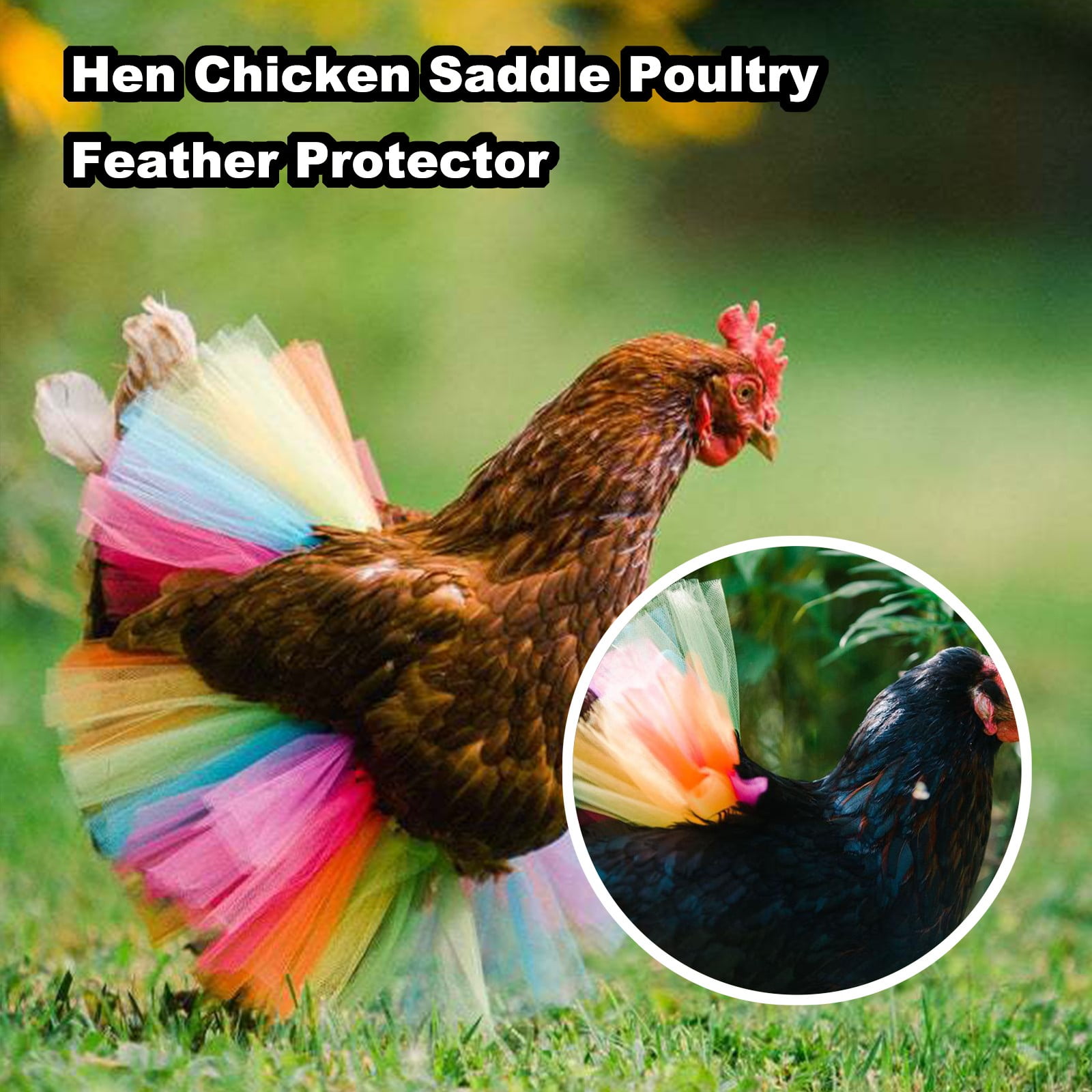 Hen Chicken Saddle Poultry Feather Protector, Funny Mesh Skirt ...