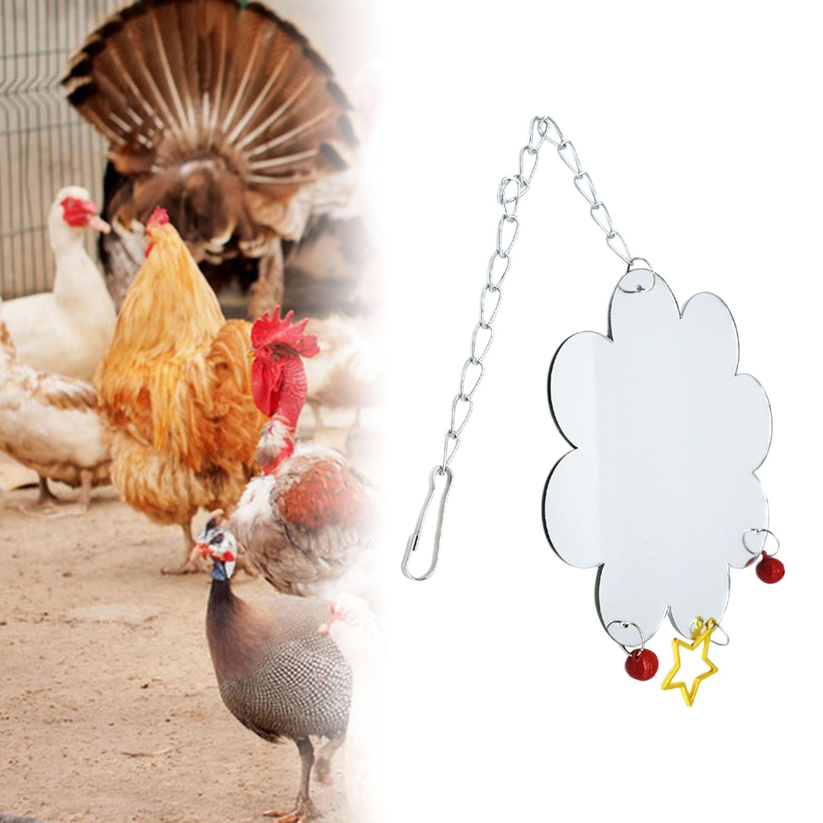 Hen Chicken Toys for Coop, Bird Mirror Toys, Chicken Mirror Toys with ...