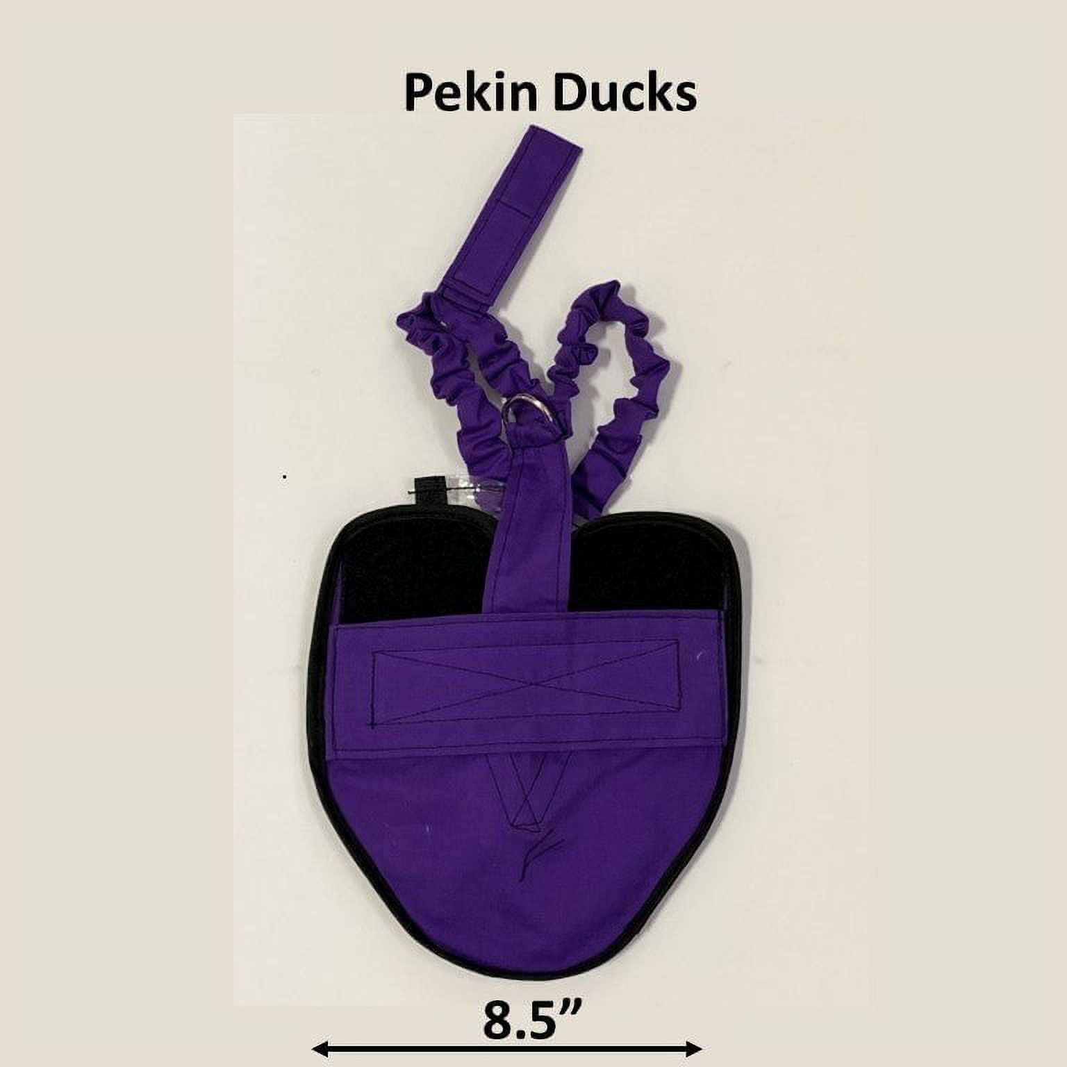 Hen Holster Waterfowl Diaper with Removable Liners Color: Purple, Size ...