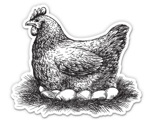 Hen Sketch Drawing Chicken Eggs - 12" Vinyl Sticker Waterproof Decal ...