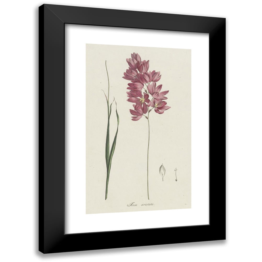 Hendrik Schwegman 12x18 Black Modern Framed Museum Art Print Titled ...