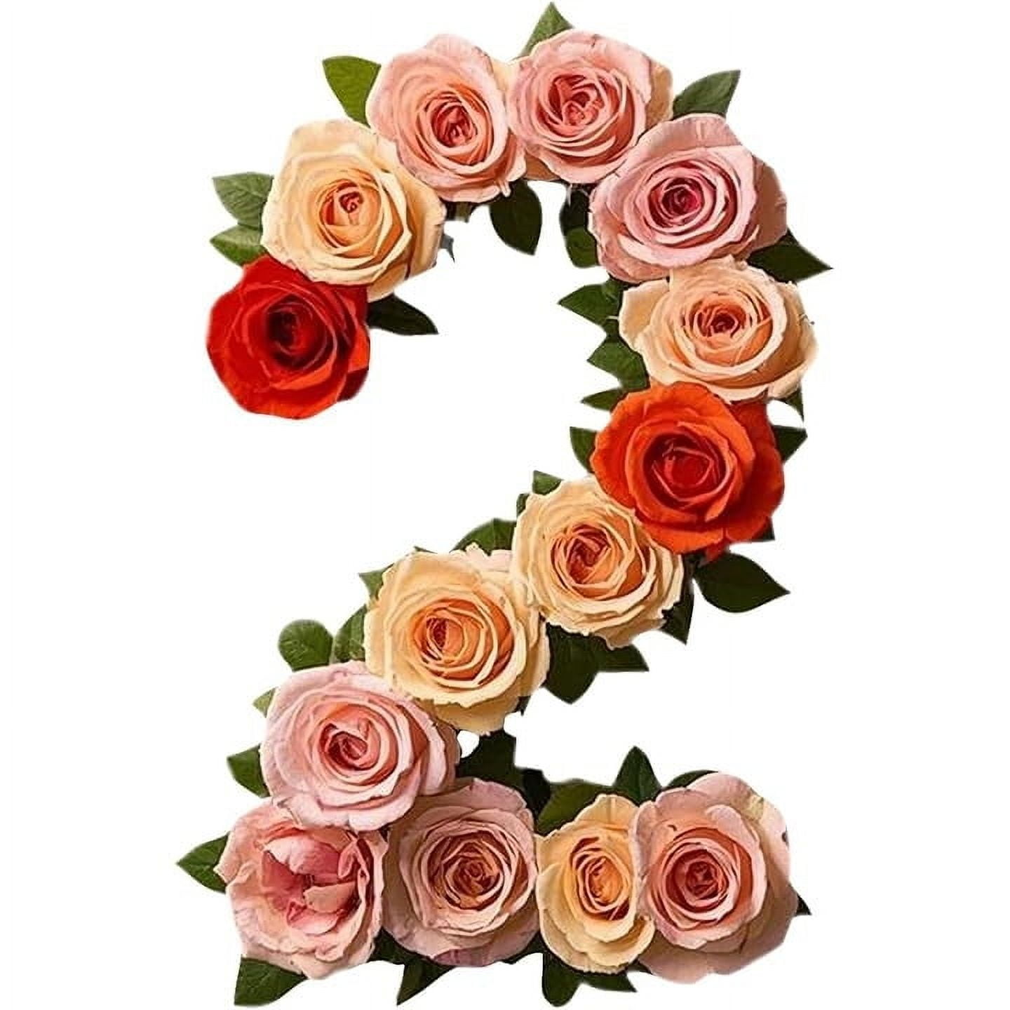 HengDidi 2025 Graduation Metal Wreath Frame for DIY Flower Decorations ...