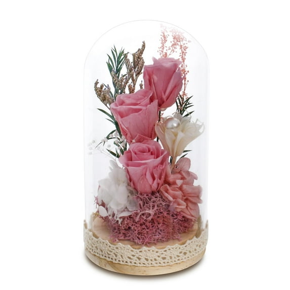 HengeHom Preserved Rose Flowers for Women, Preserved Flowers Glass Dome ...