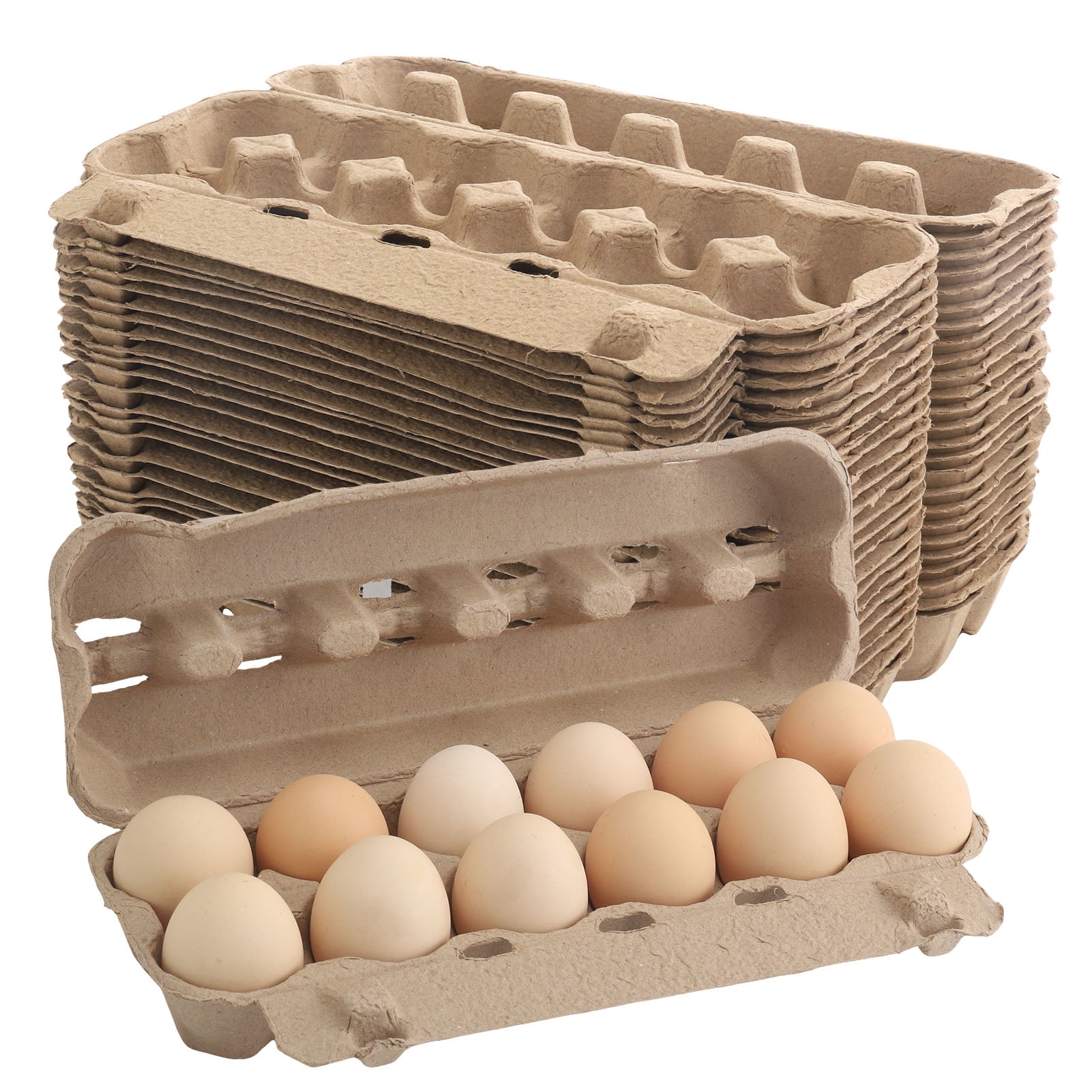 Recycled Egg Carton