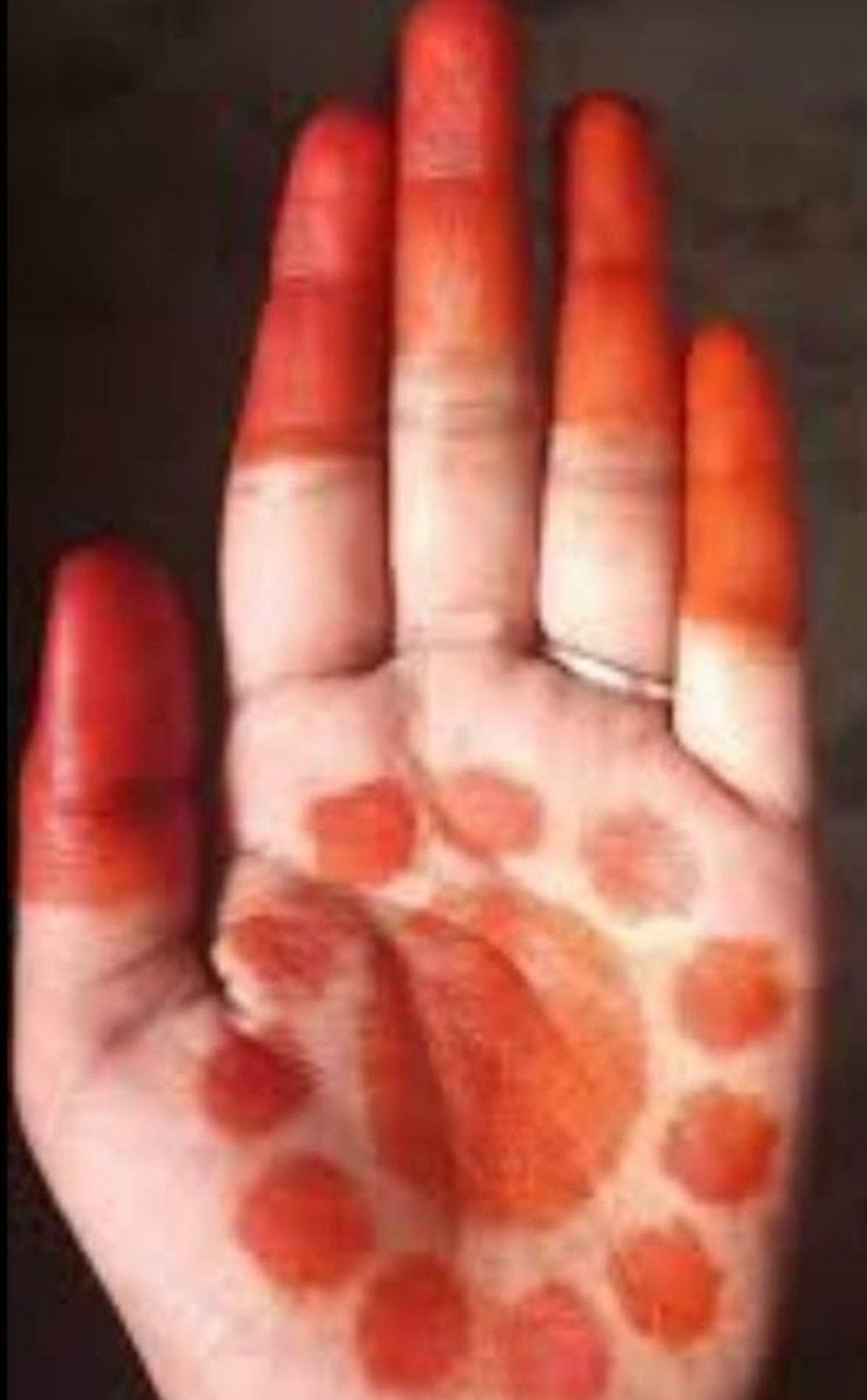 Henna / Marudhani / Mehendi Plant - Walmart.com