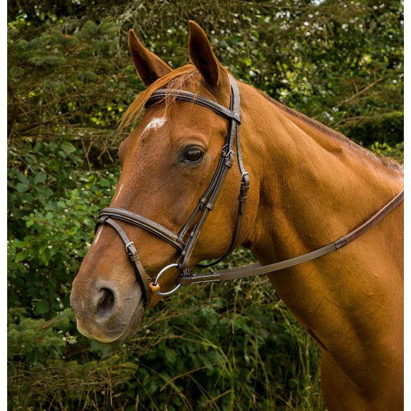 Equinavia Saga Padded Cavesson Dressage Bridle with Reins and Removable ...