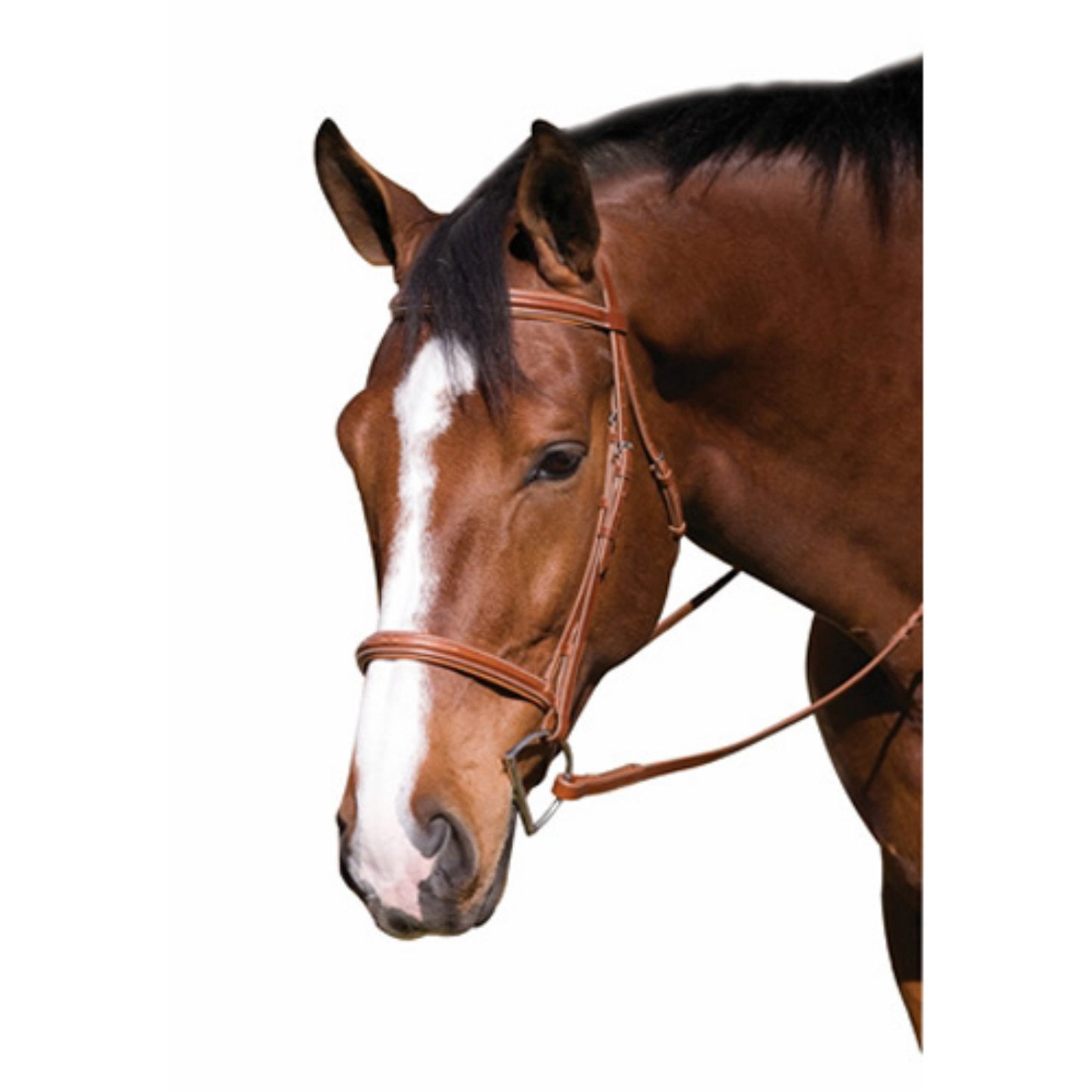 Henri de Rivel Advantage Fancy Raised Padded Bridle With Laced Reins ...