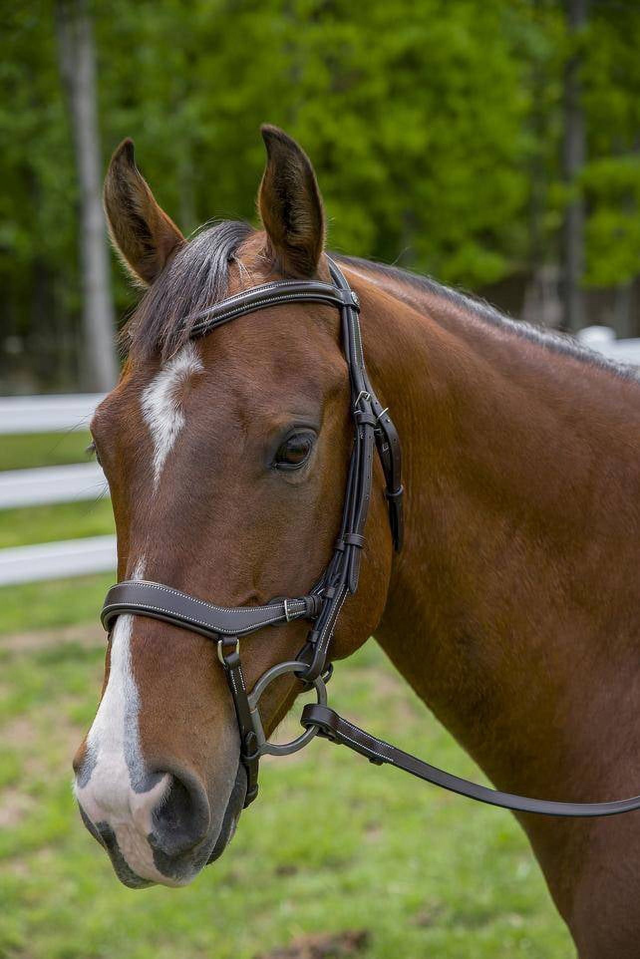 Henri de Rivel Pro Anatomical Bridle Black Oversize - Walmart.com