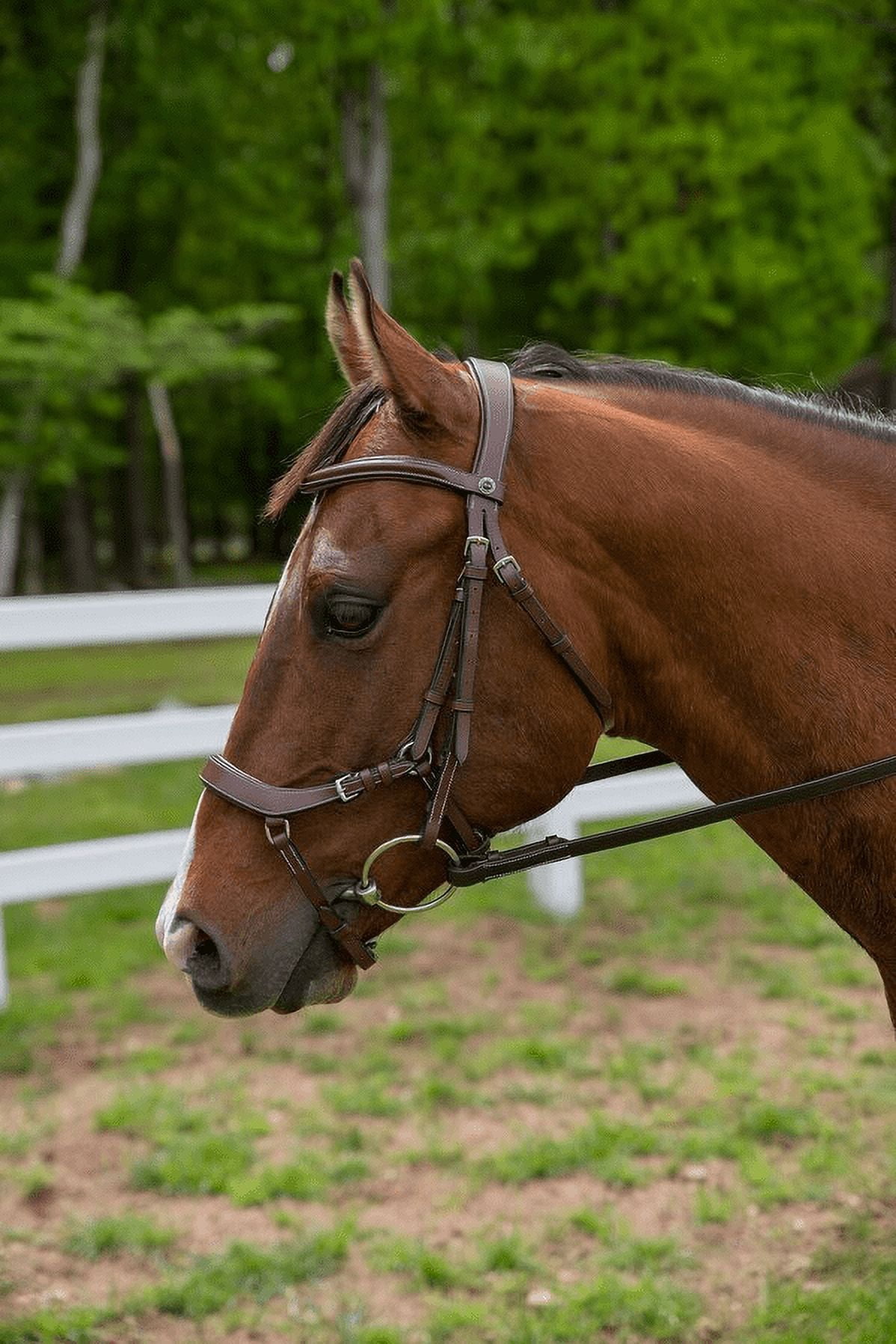 Henri de Rivel Pro Anatomical Bridle - Walmart.com